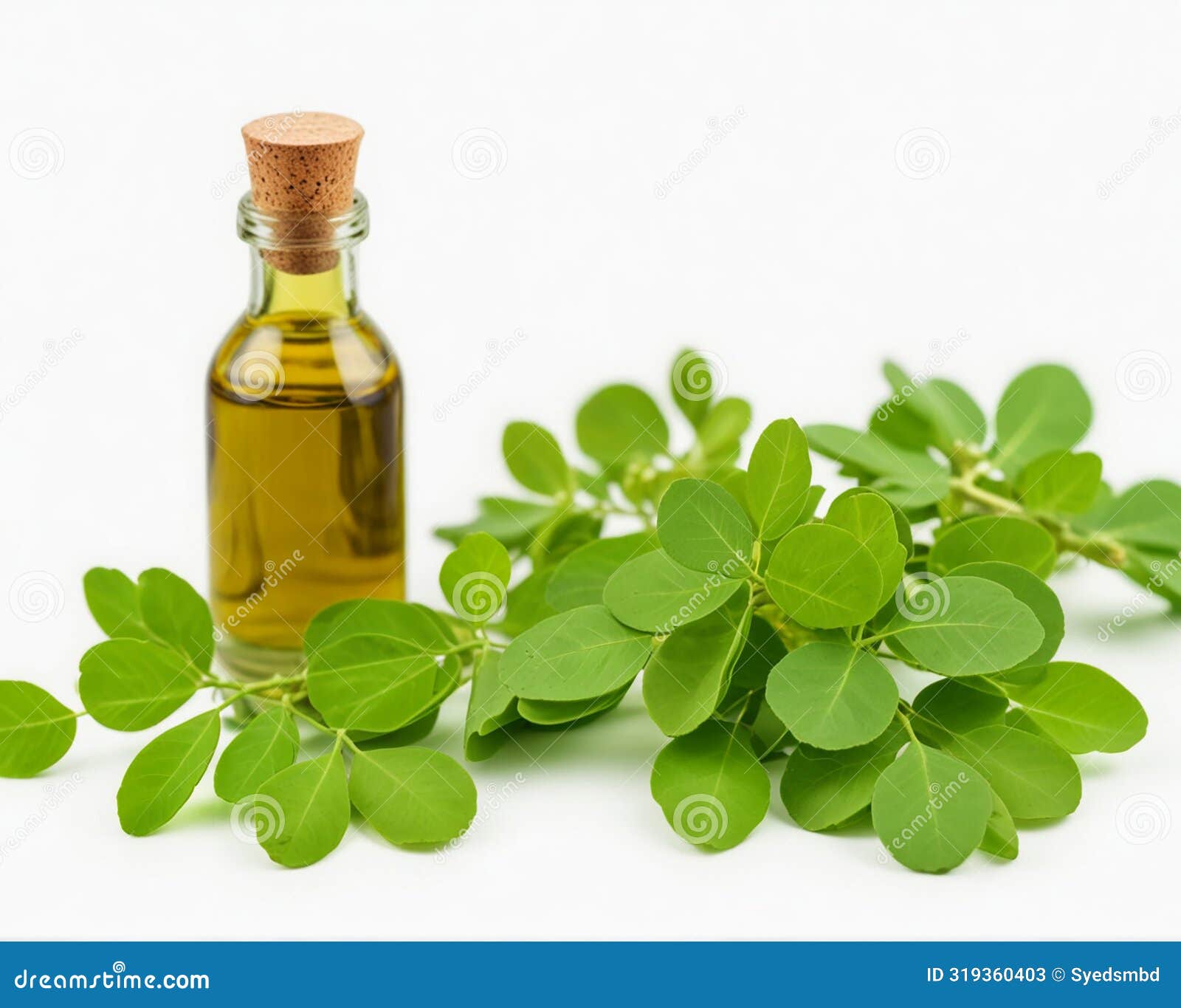 Moringa or Moringa Oleifera and Oil Isolated on White Background Stock ...