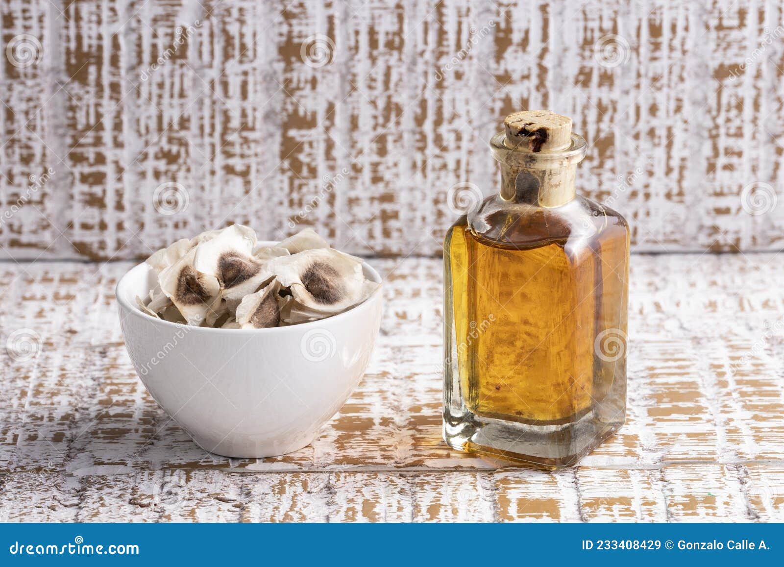 Moringa Oleifera - Oil and Seeds of Moringa Oleifera Stock Image ...