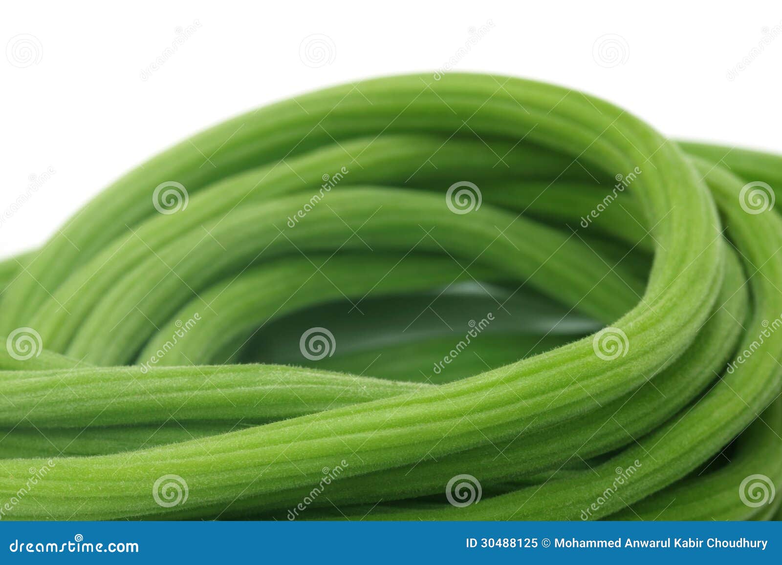 Moringa Oleifera stock image. Image of sahijan, nature - 30488125