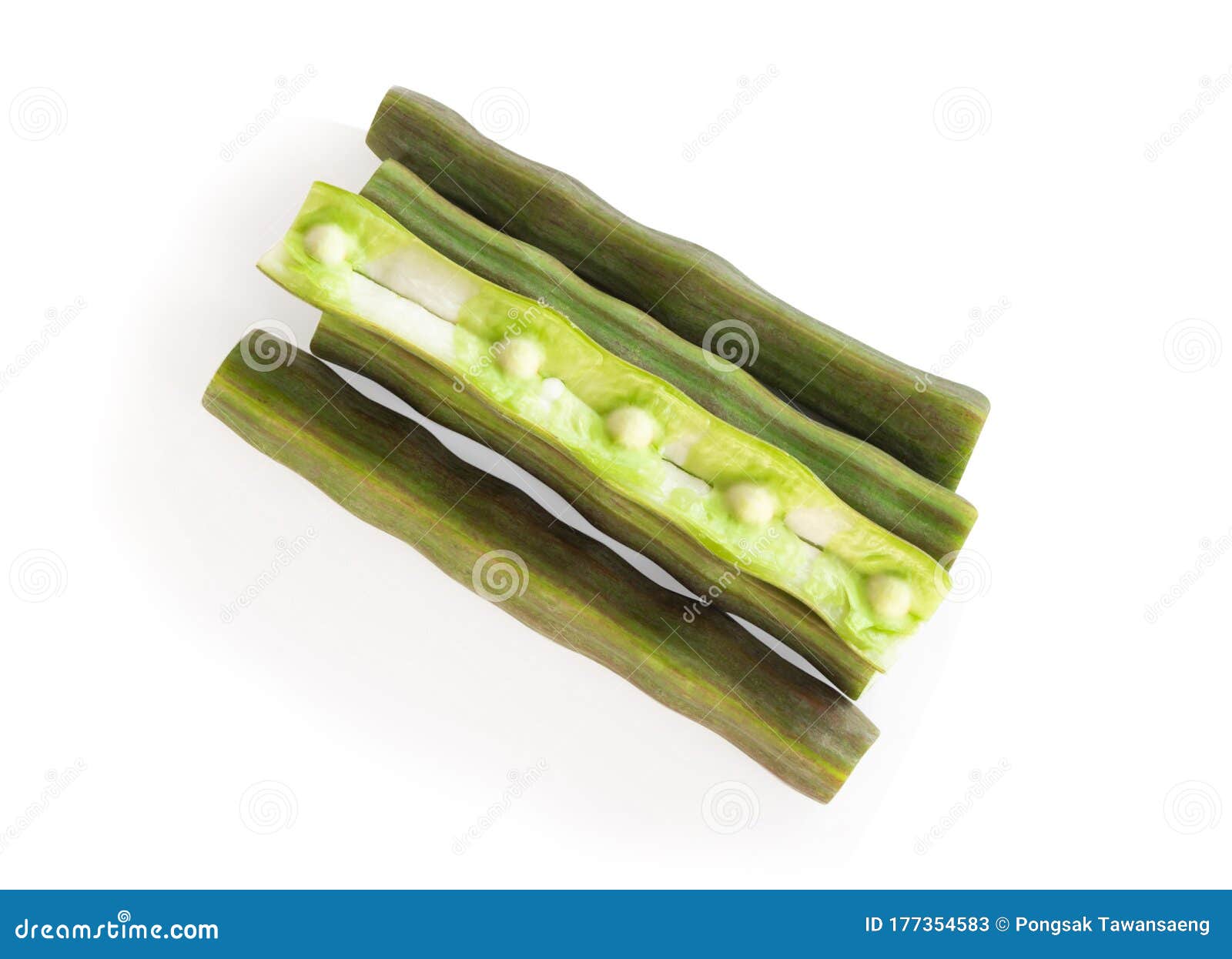 Moringa Pods Isolated On White Background Stock Photography ...