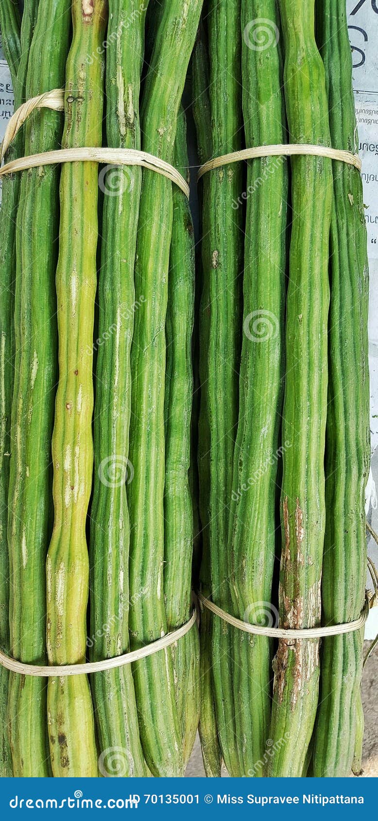 Moringa pods in market. stock image. Image of market - 70135001
