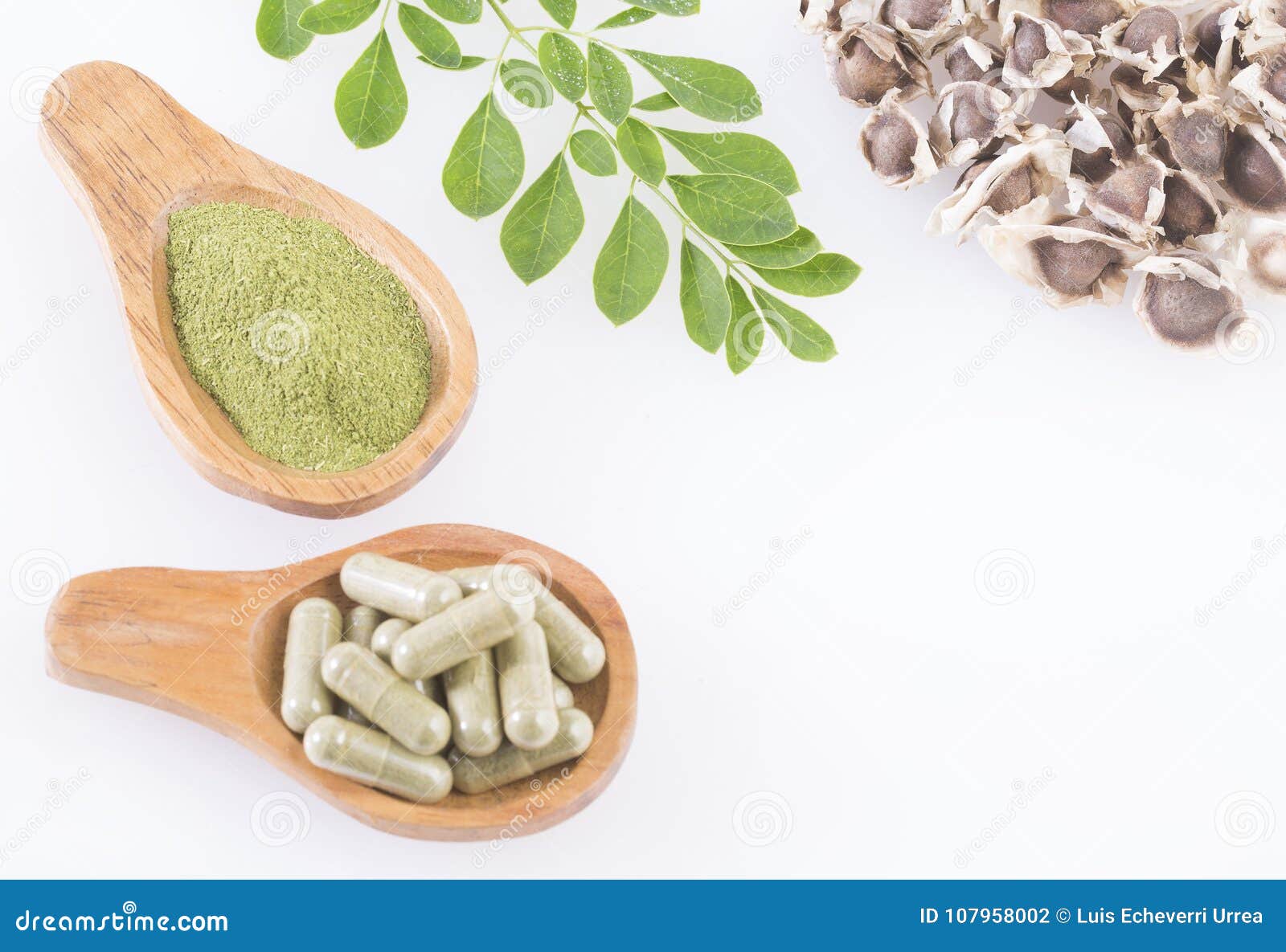 Organic Moringa - Moringa Oleifera Stock Photo - Image of organic ...