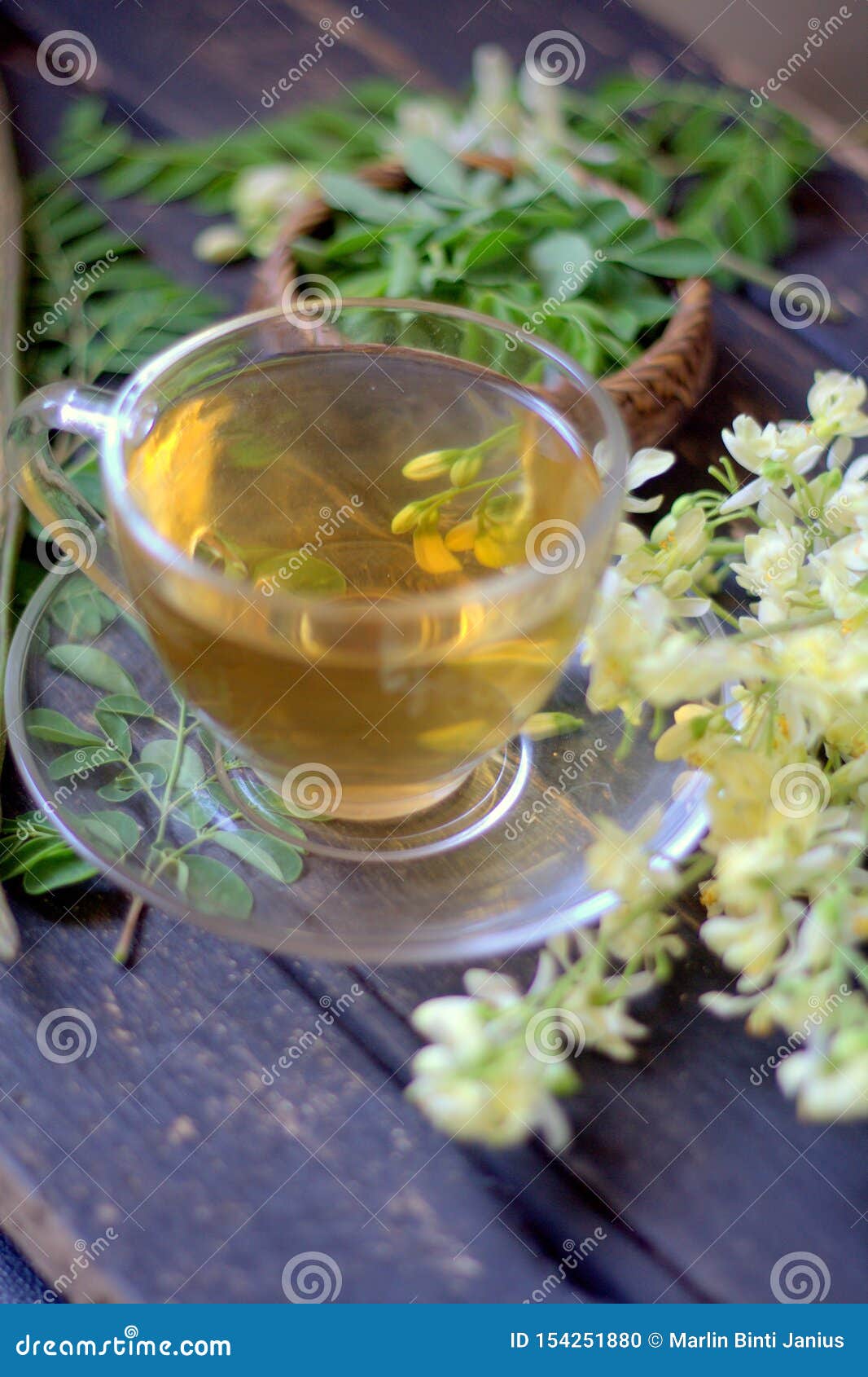 Moringa Tea in Cup with Moringa Flower and Leaves Stock Photo - Image ...