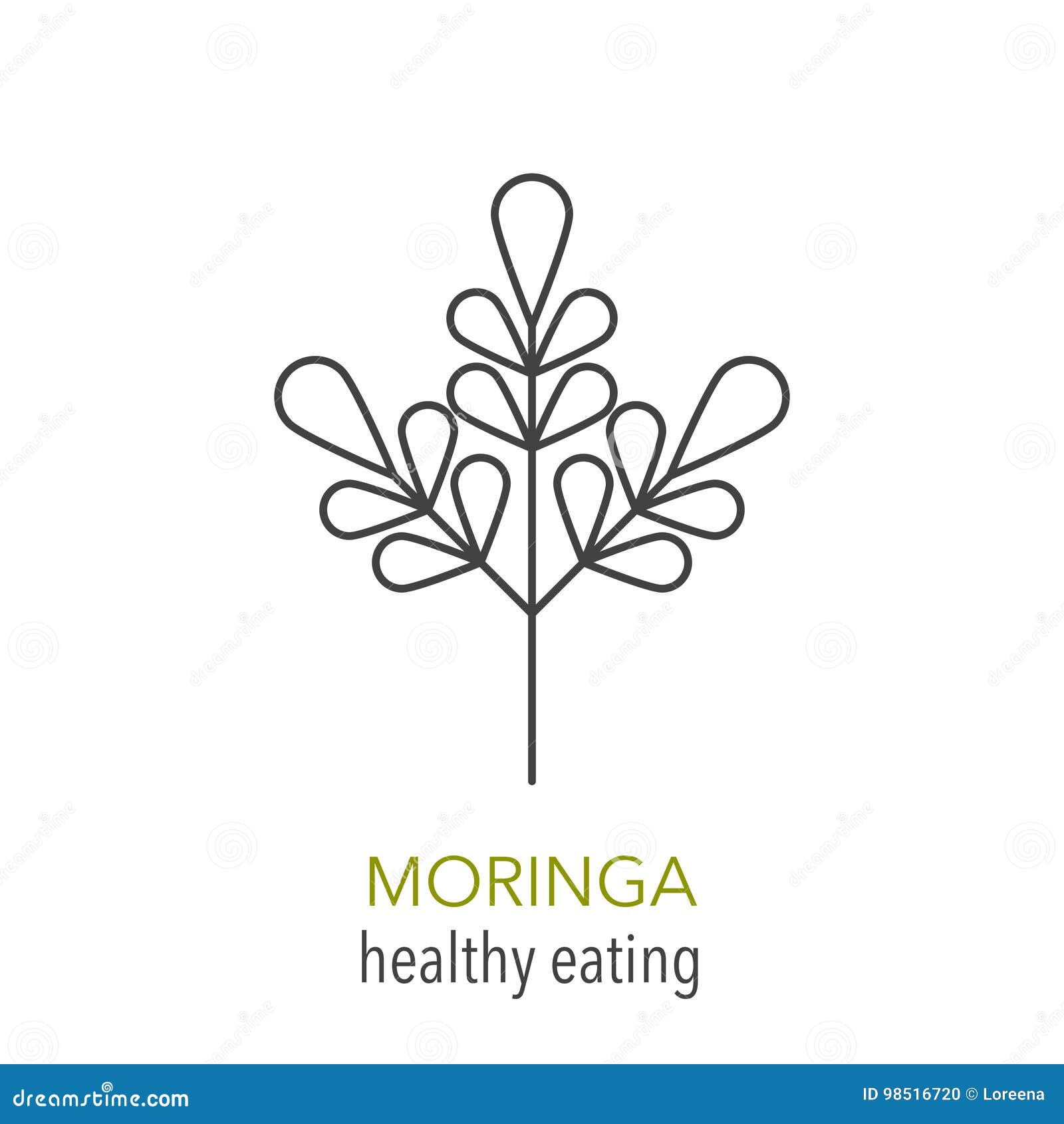 Moringa. Vector line icon stock vector. Illustration of healthy - 98516720