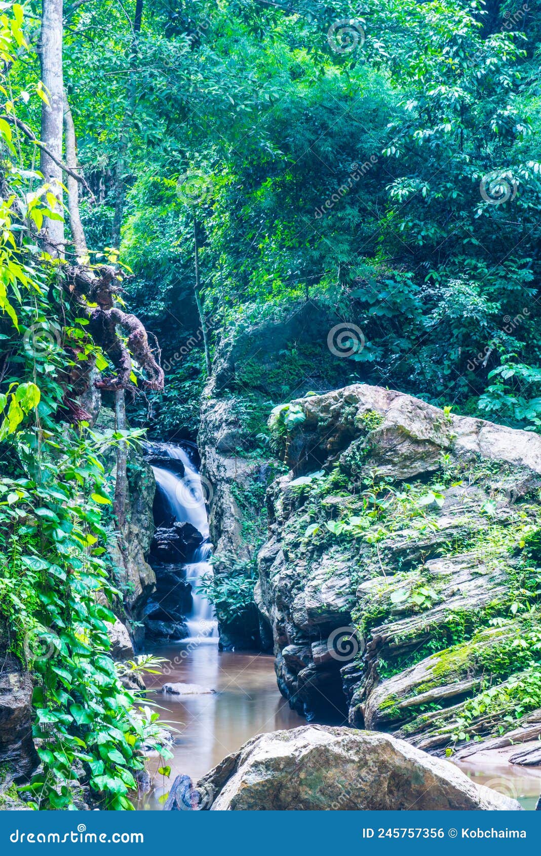 385 Fa Waterfall Stock Photos - Free & Royalty-Free Stock Photos from ...