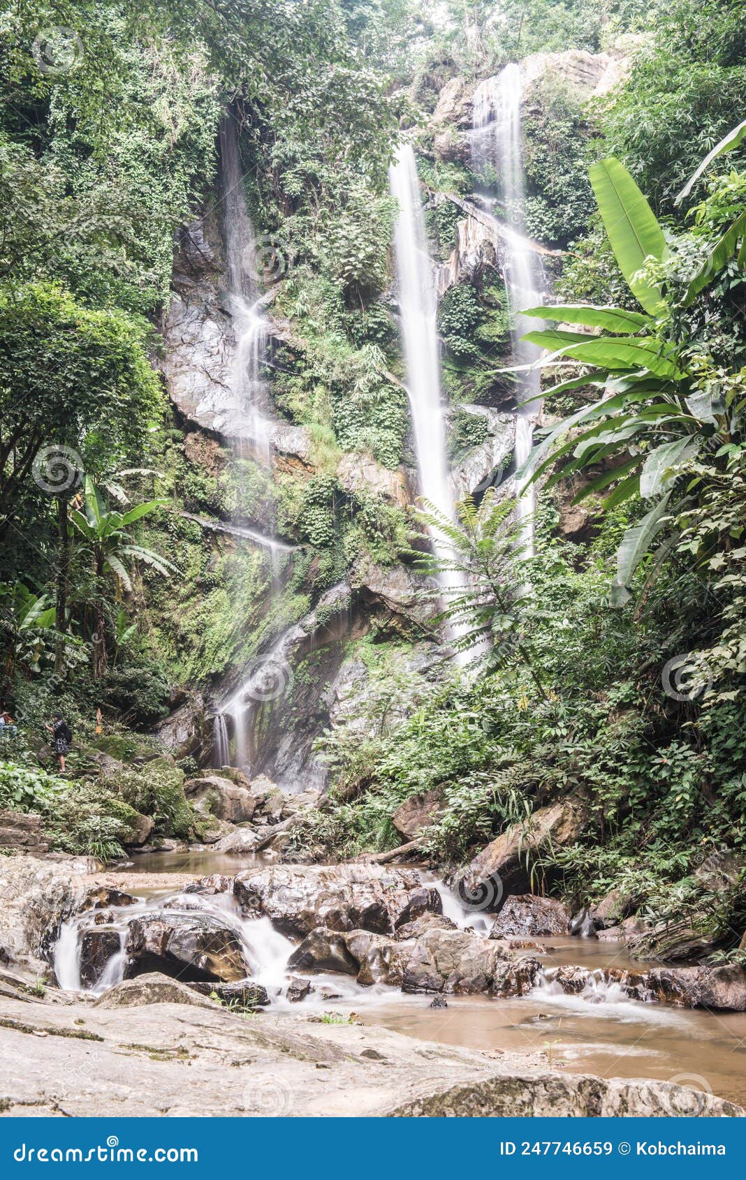 Mork Fa Waterfall in Chiangmai Province Stock Image - Image of forest ...