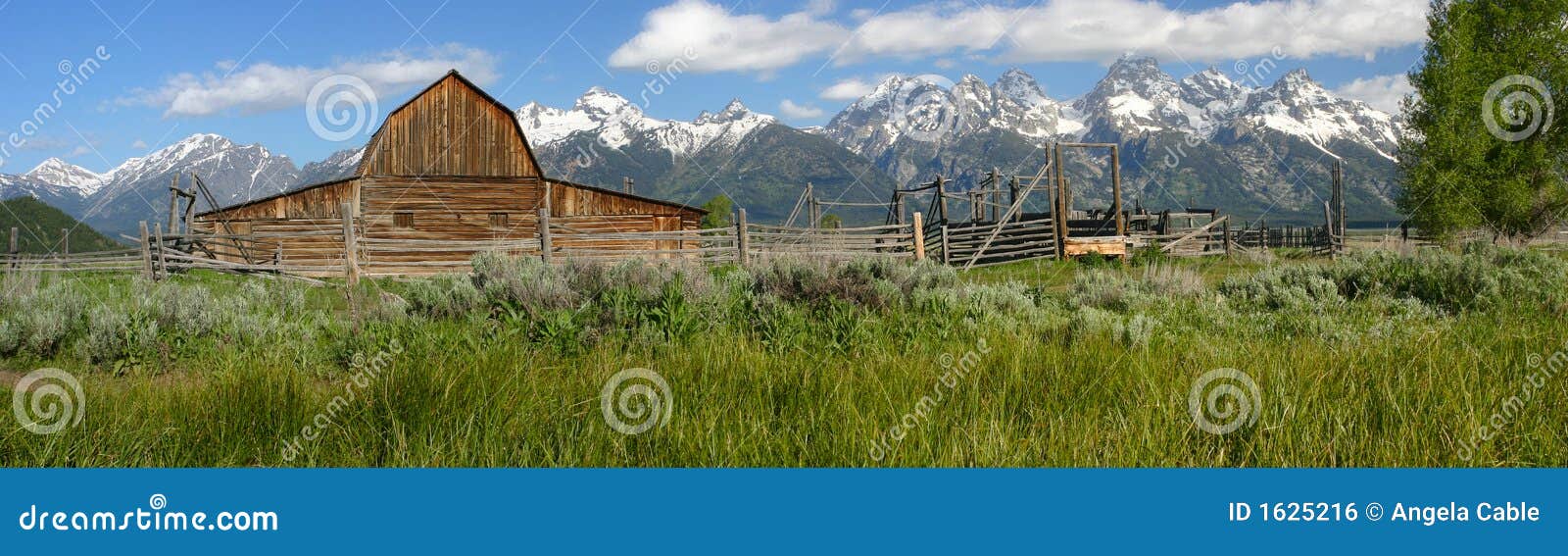 Mormon Row Barn stock photo. Image of fence, panoram, grand - 1625216