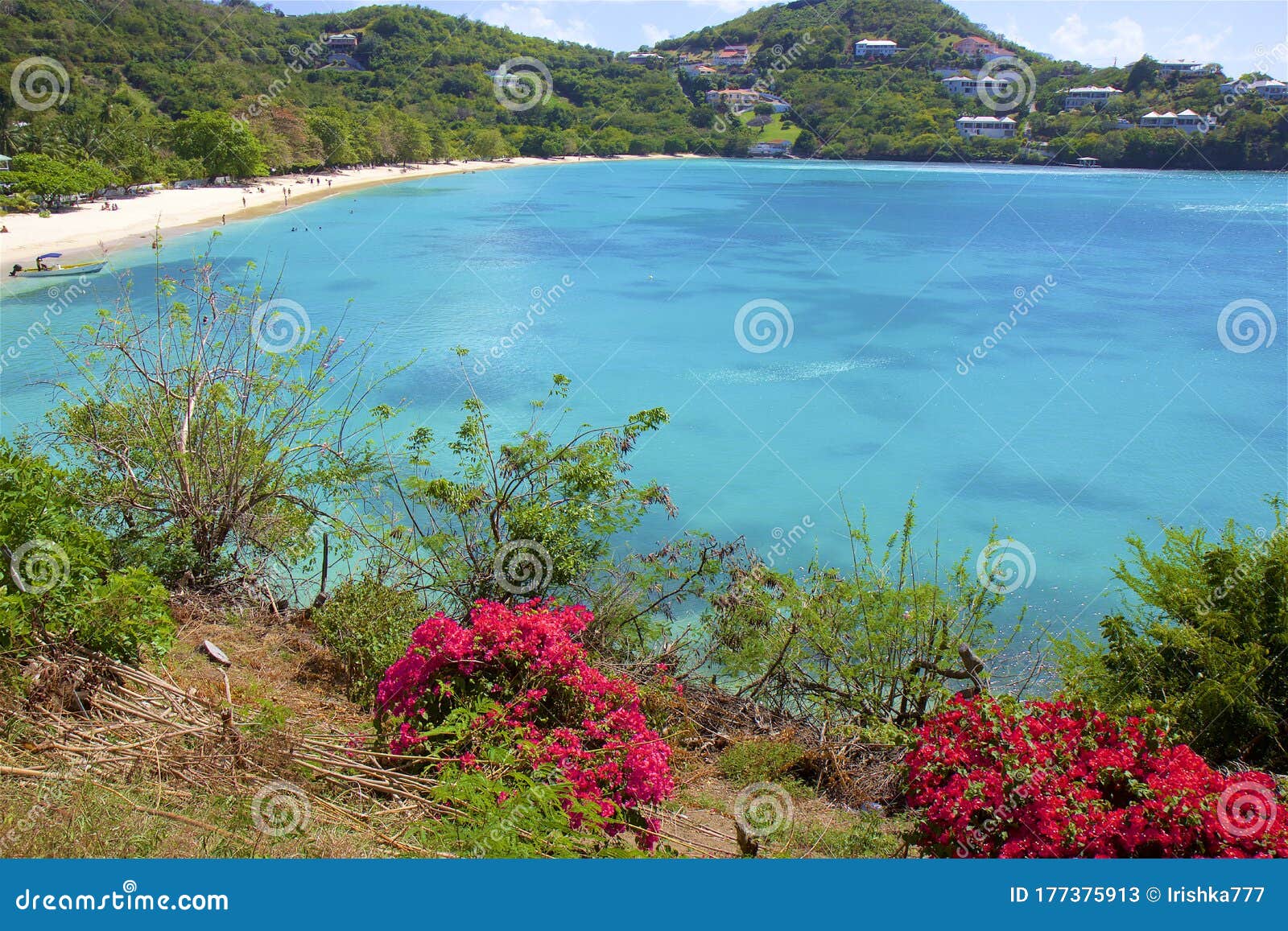 Morne Rouge Beach in Grenada, Caribbean Stock Image - Image of ...