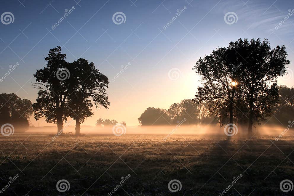 Morning stock photo. Image of dawn, environment, foliage - 1929216