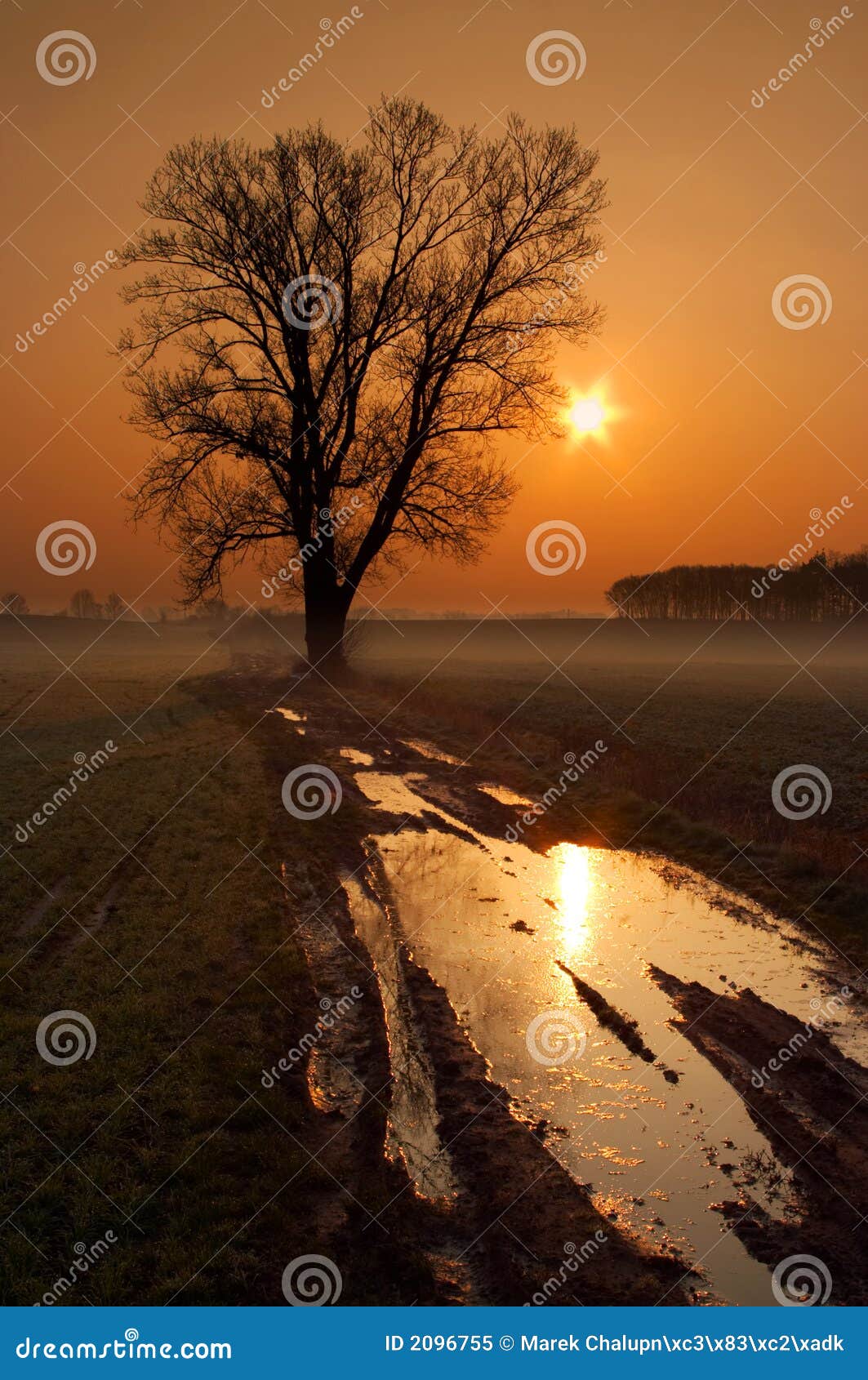 989 Ambience Morning Stock Photos - Free & Royalty-Free Stock Photos ...