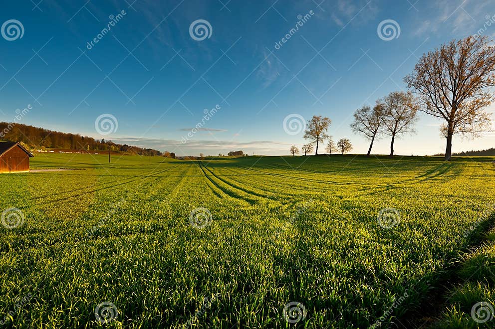 Morning stock photo. Image of farmland, alpine, harvest - 25173210