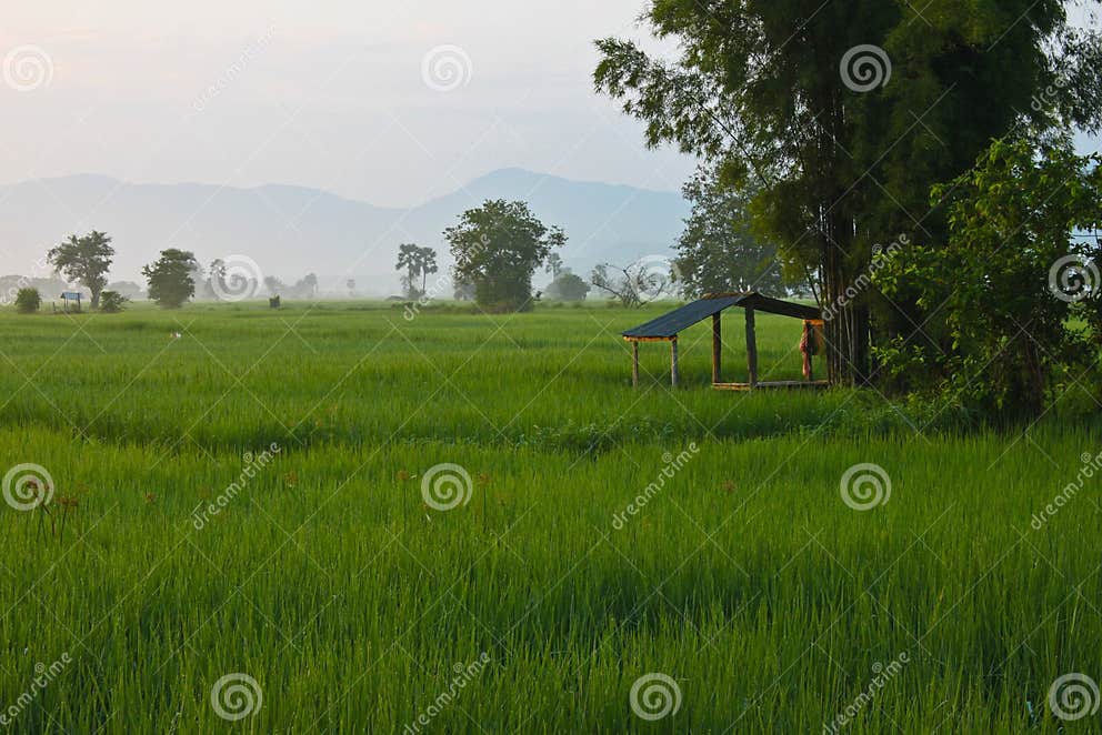 In the morning stock photo. Image of outdoor, landscape - 27452000