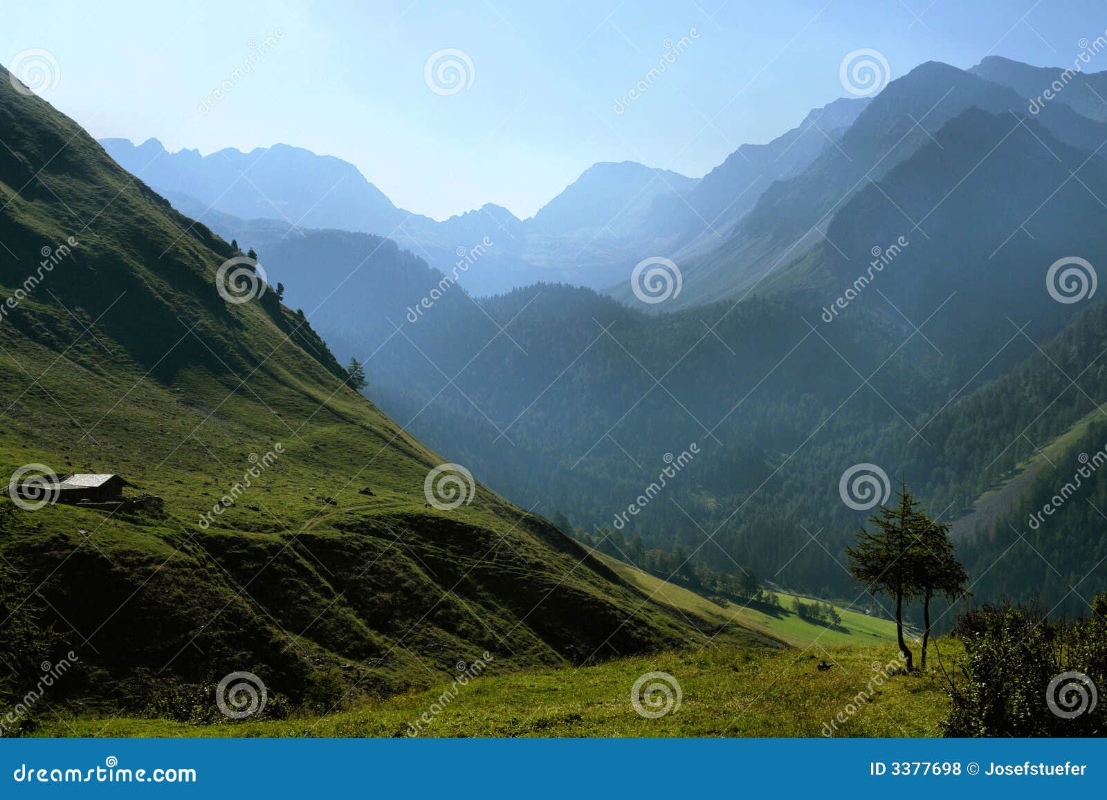 Morning stock photo. Image of ecosystem, alps, peaceful - 3377698