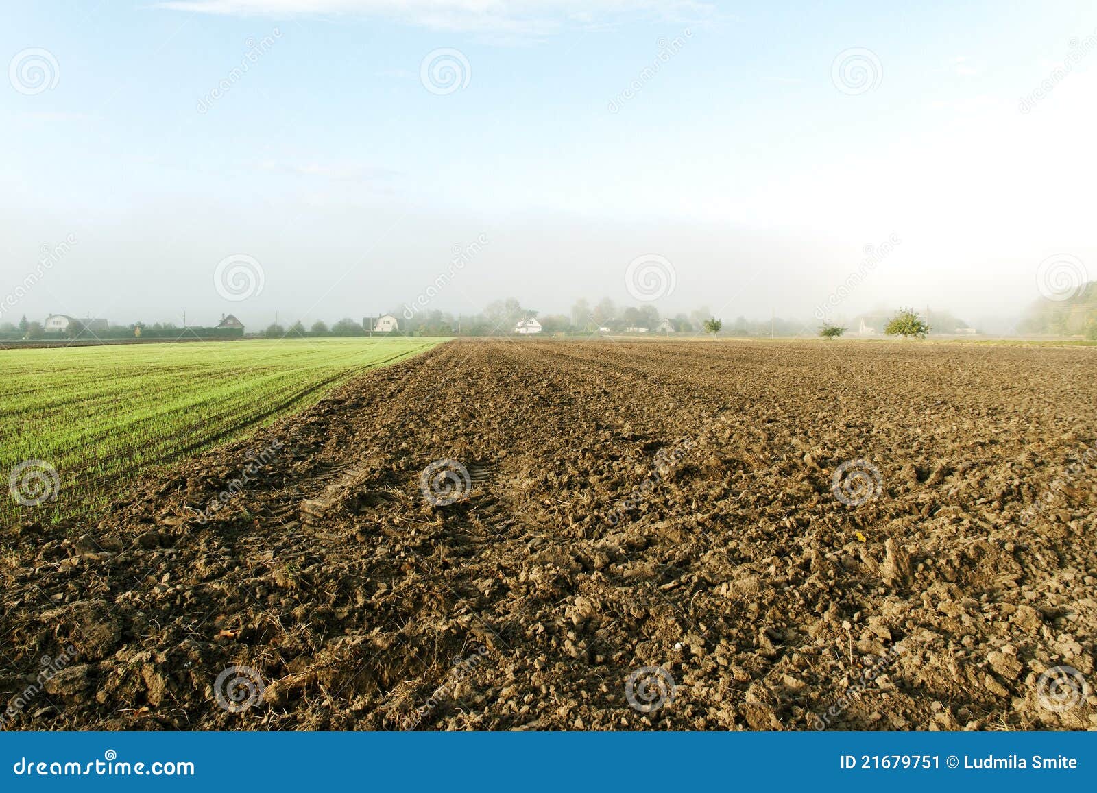 Morning above land. stock image. Image of leaf, home - 21679751