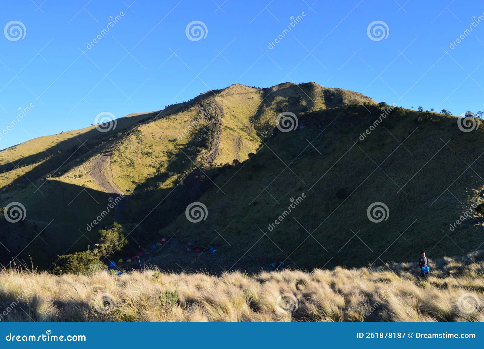Morning Activity on Mount Merbabu Editorial Photography - Image of ...