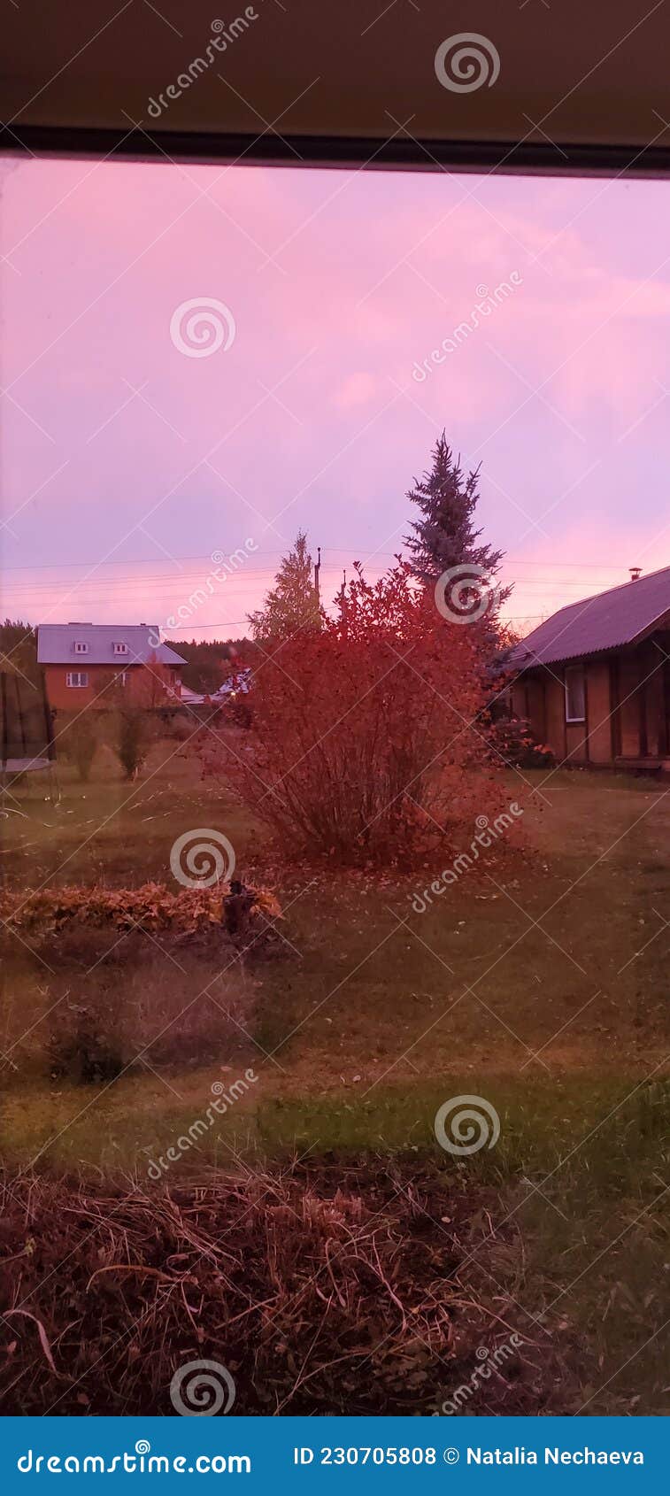 At morning autom stock photo. Image of night, dawn, painting - 230705808