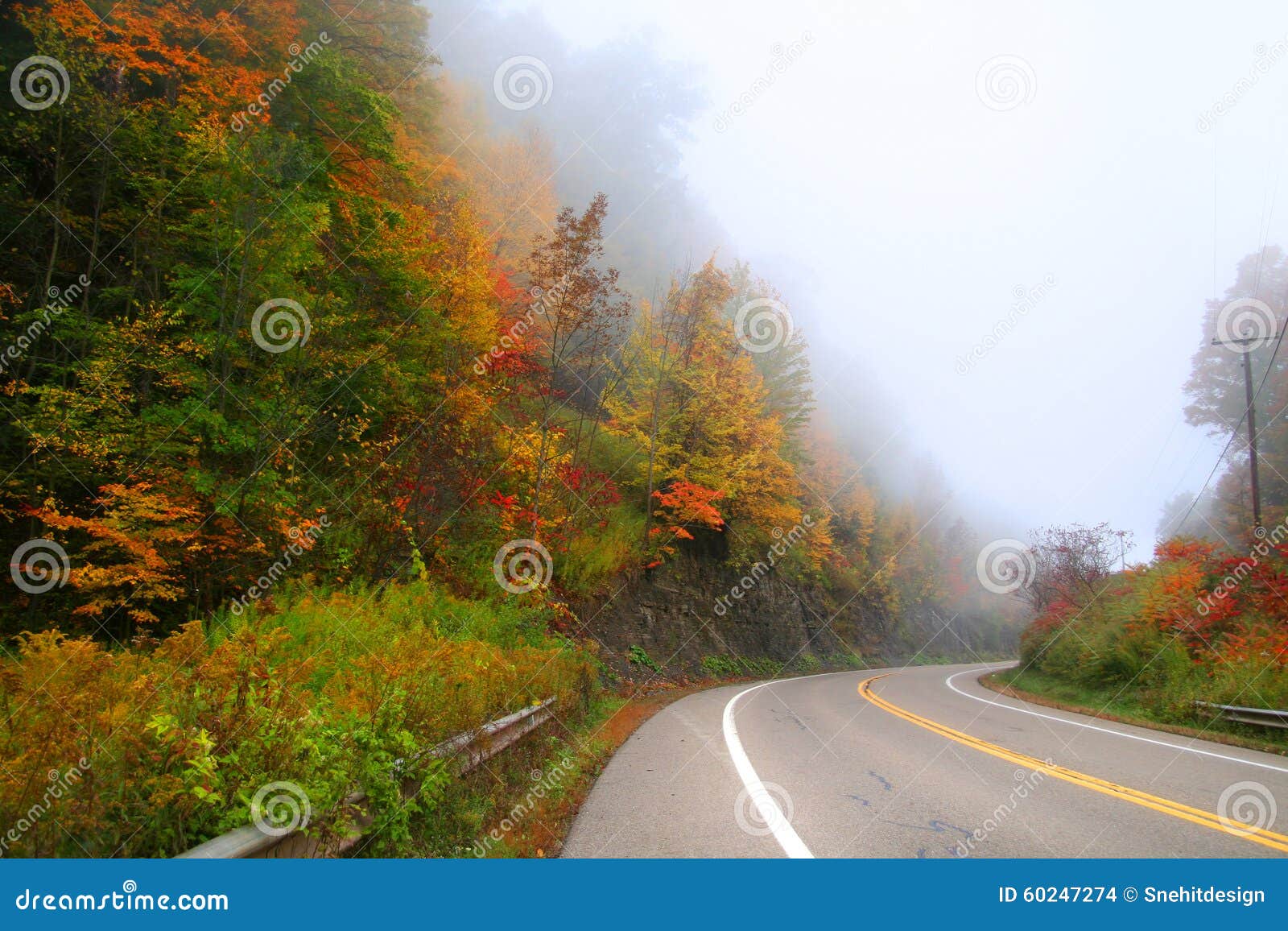 Morning autumn drive stock photo. Image of autumn, green - 60247274