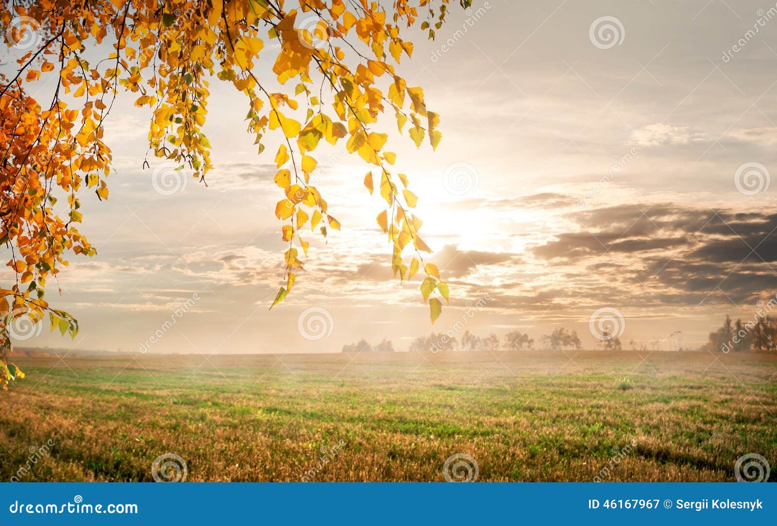 Morning in the Autumn Field Stock Image - Image of beauty, countryside ...