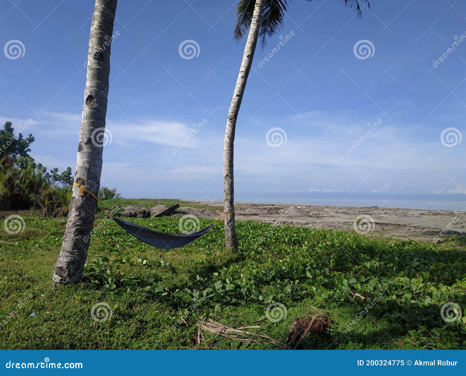 Morning on the beach stock image. Image of vacation - 200324775