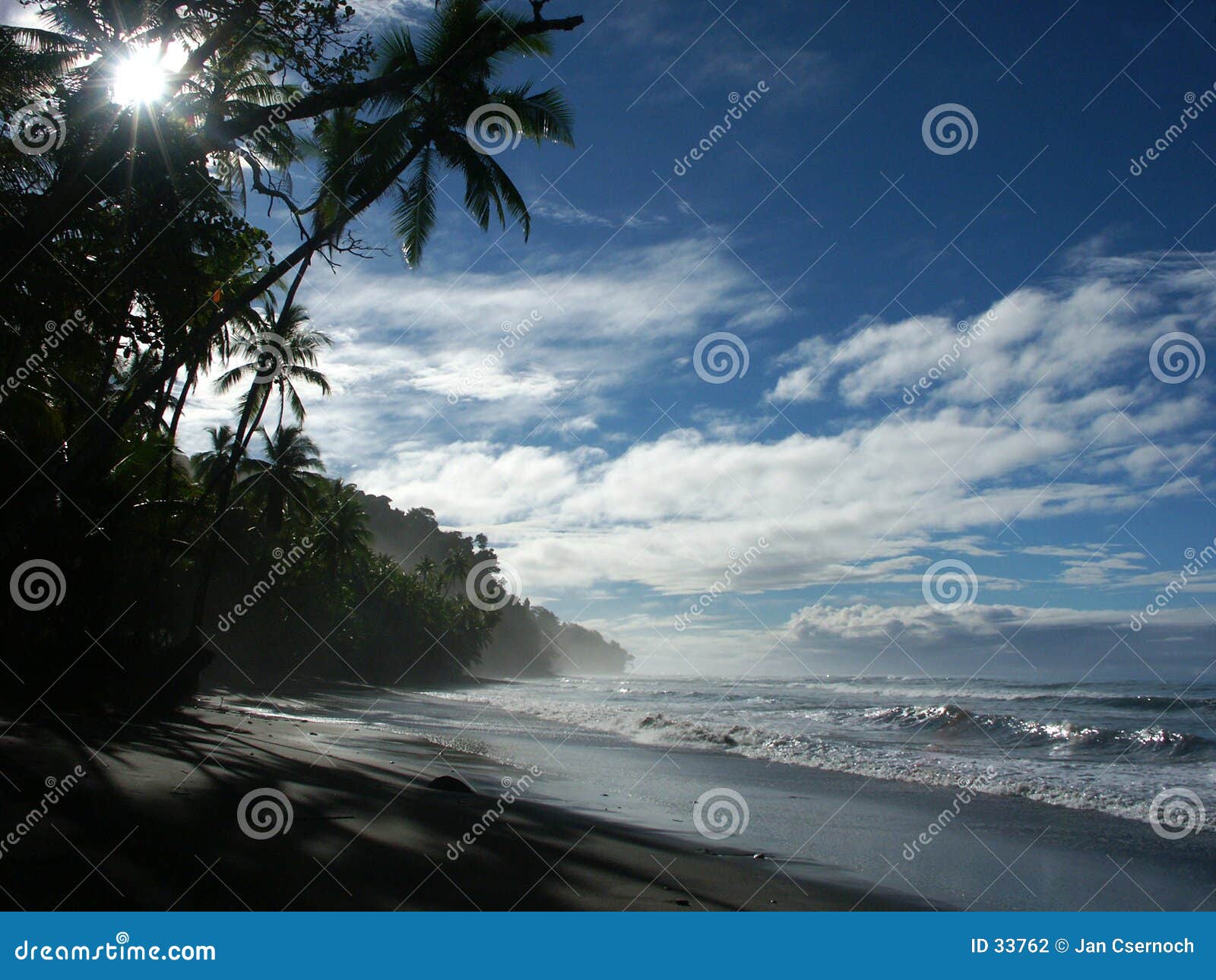 Morning beach stock photo. Image of sunshine, palmtrees - 33762