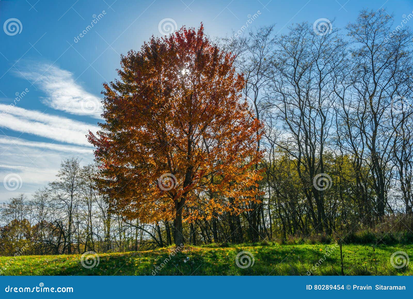 The Morning after stock photo. Image of clouds, moring - 80289454