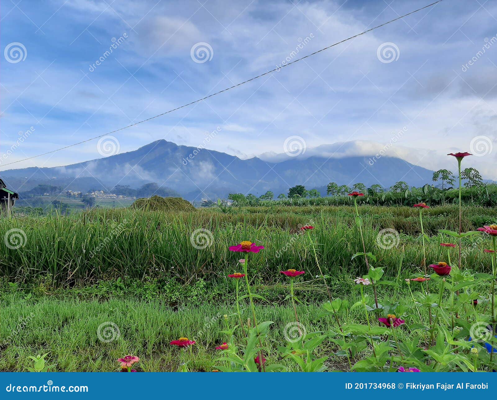 Morning Blessed with a Bright Sky Stock Photo - Image of prairie ...
