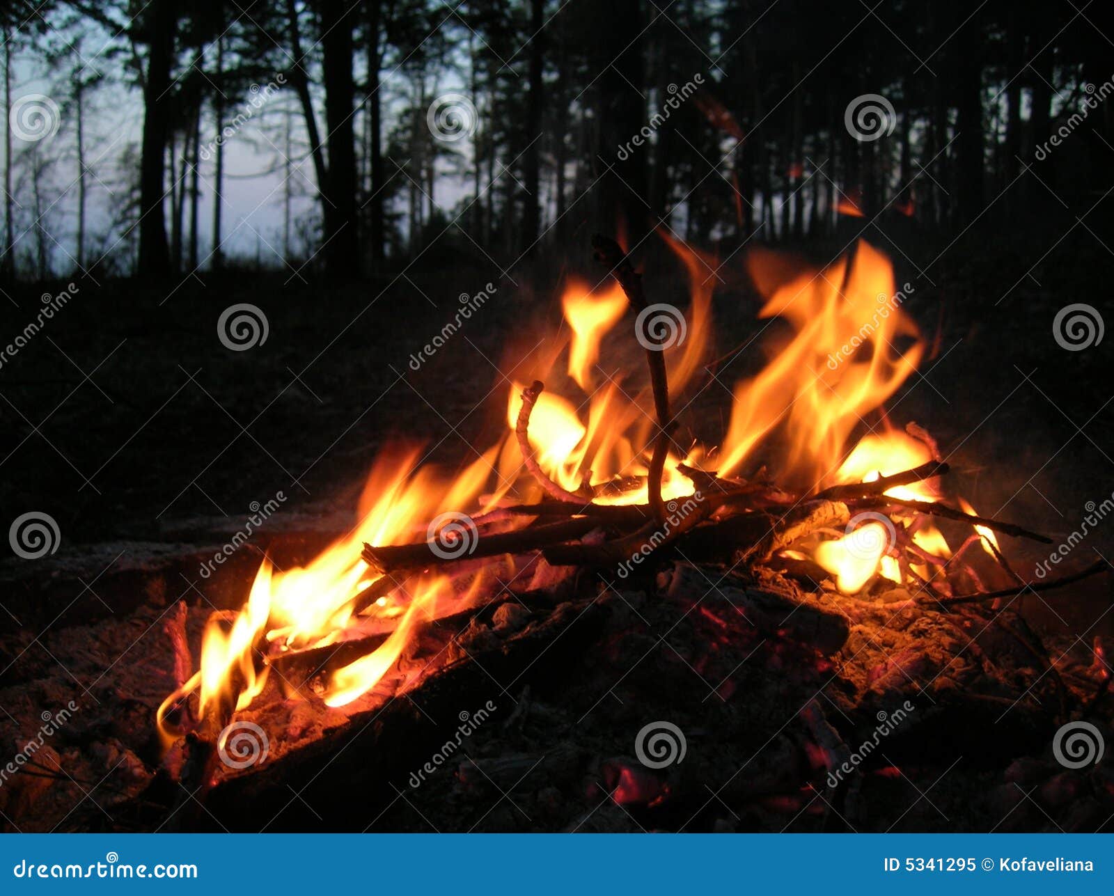Morning campfire stock image. Image of horizon, campfire - 5341295