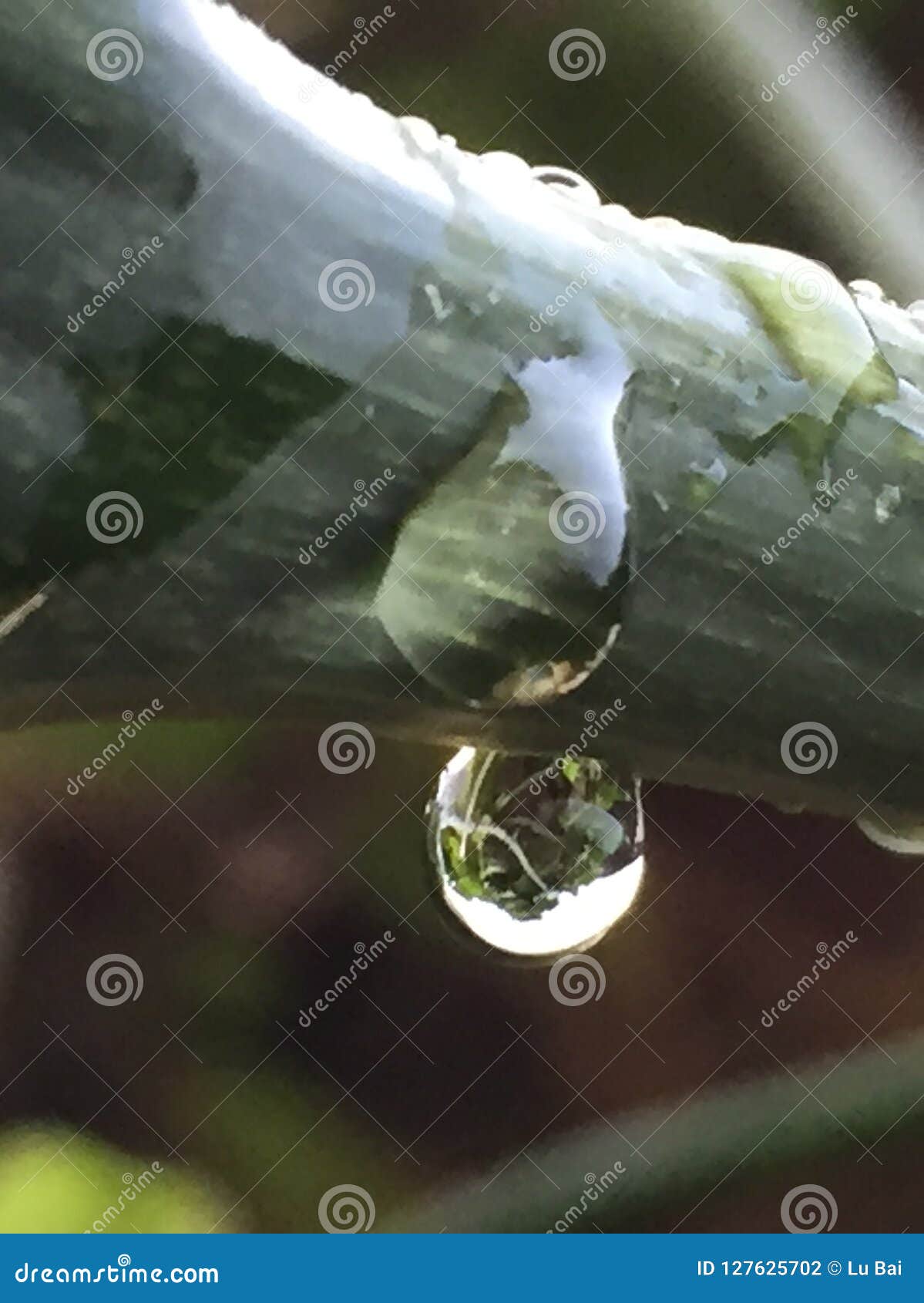 Clear drop stock photo. Image of clear, today, shots - 127625702