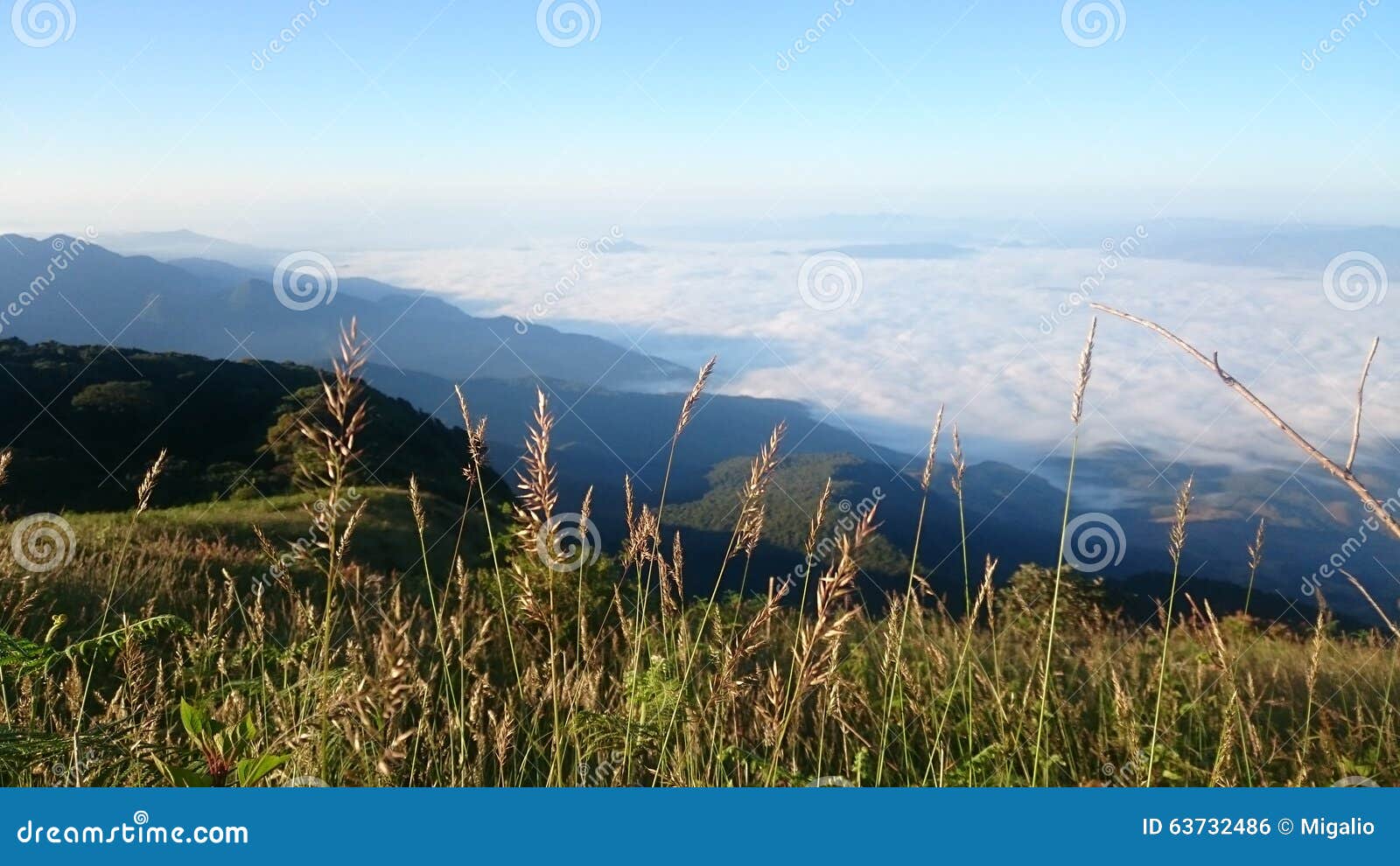Morning cloud stock photo. Image of cloud, nature, freedom - 63732486