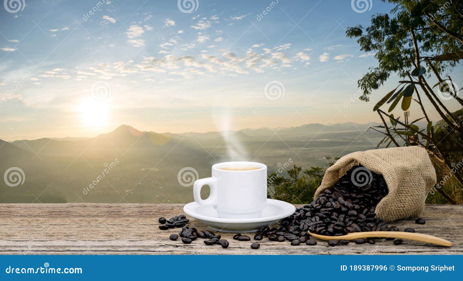 Morning Coffee Cup and Roasted Coffee Beans Views with Mountain Sun ...