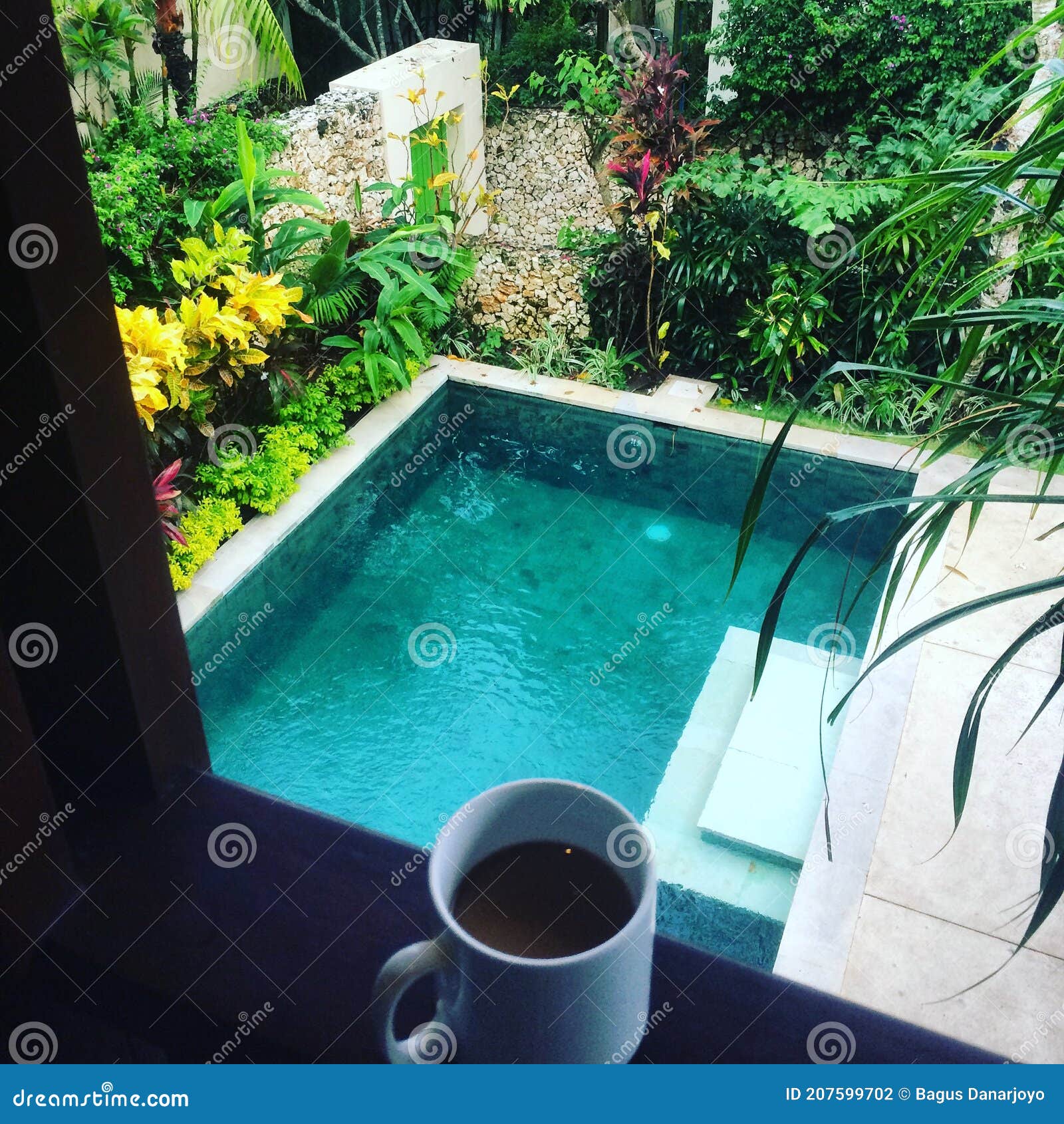 Morning coffee pool view stock photo. Image of morning - 207599702