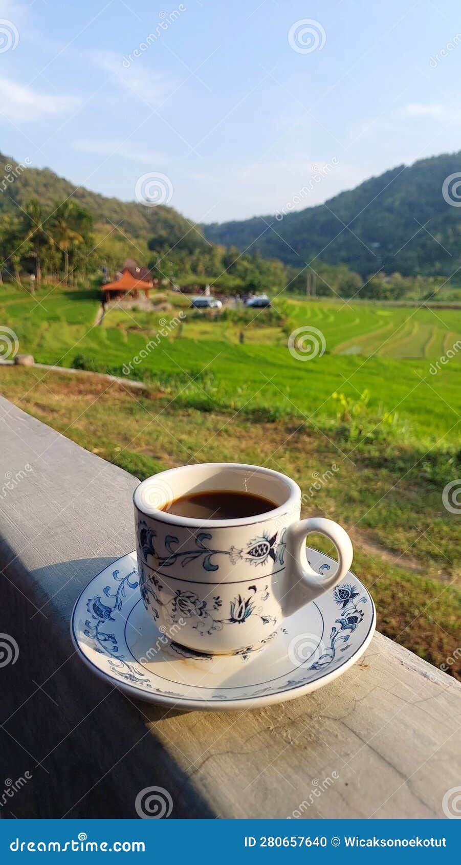 Morning Coffee and Rice Fields Stock Photo - Image of morning, rice ...