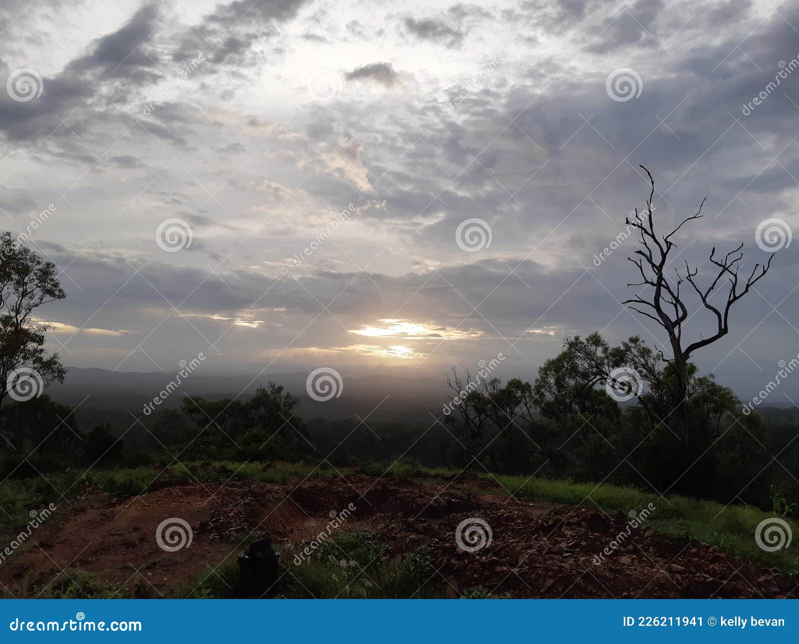Morning cold sky nature stock image. Image of nature - 226211941