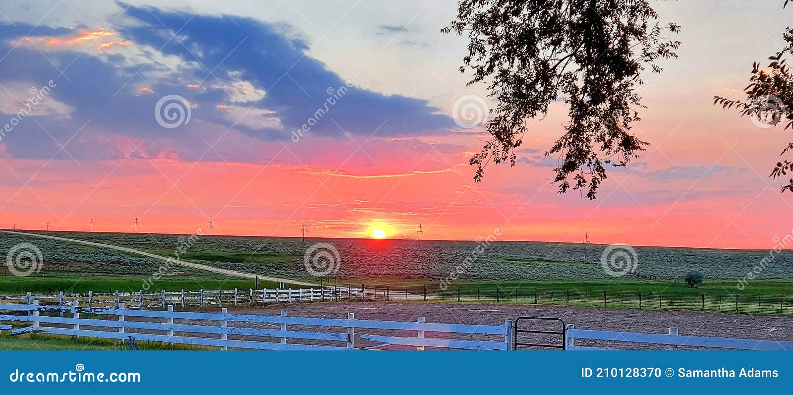 Morning Colors of a Colorado Sunrise Stock Photo - Image of tree, coast ...