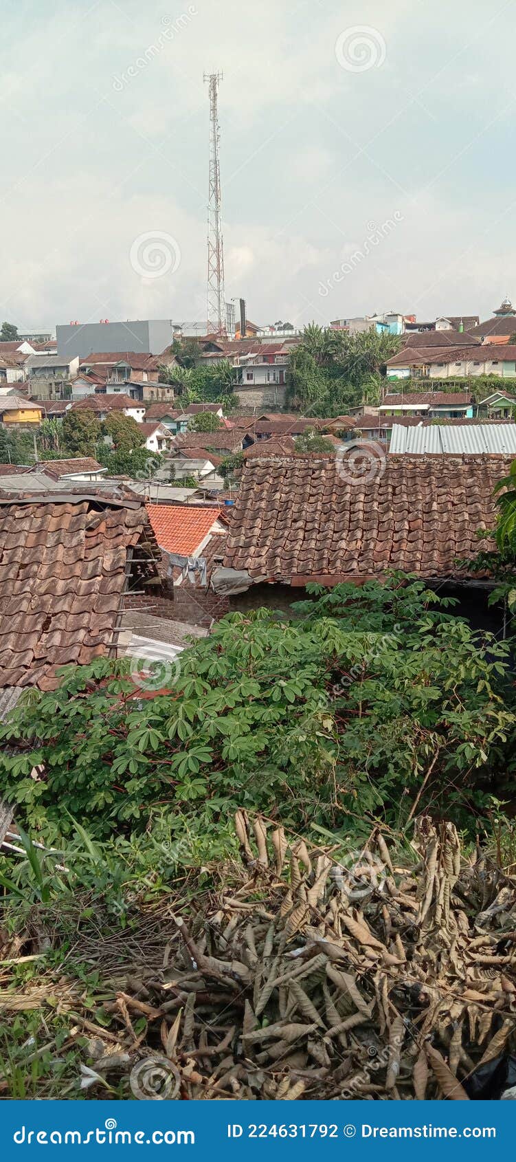 Morning Countryside Farm Field View Stock Photo - Image of suburb ...