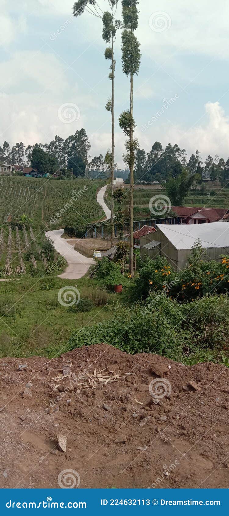 Morning Countryside Farm Field View Stock Image - Image of park ...