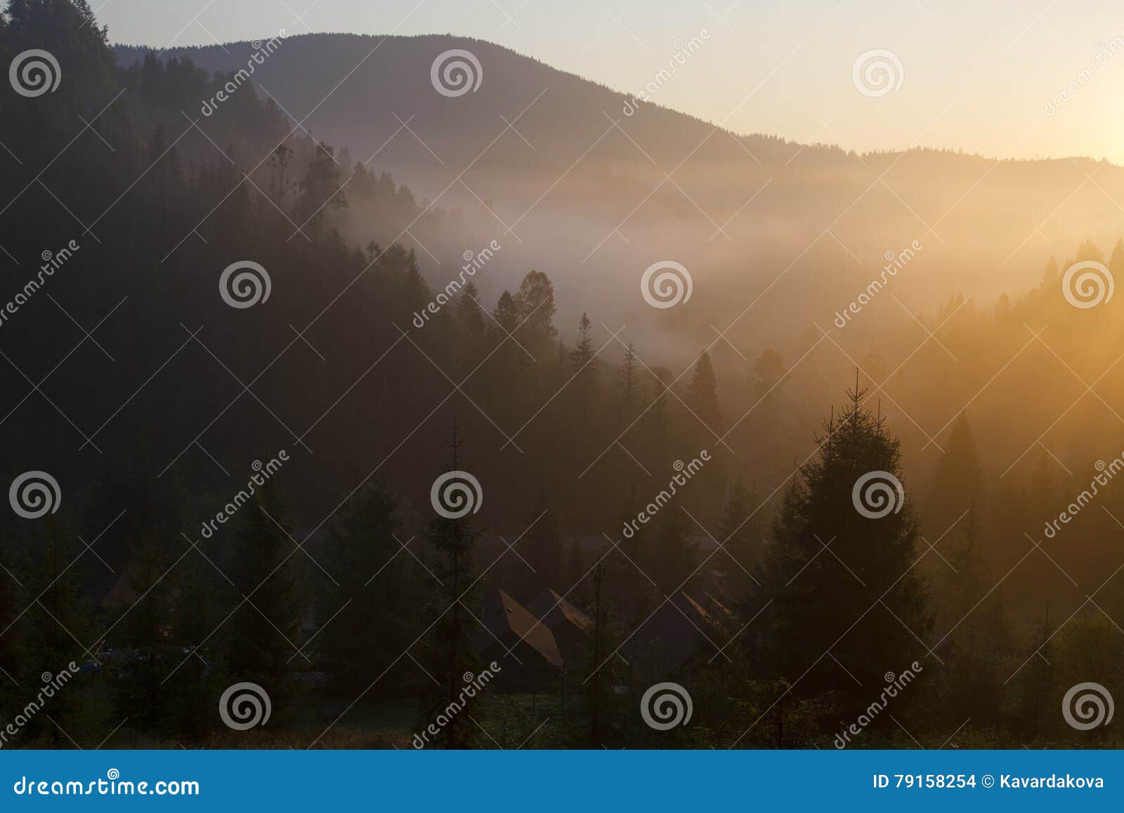At Morning Dawn Mist Over Forest in Mountains Stock Photo - Image of ...