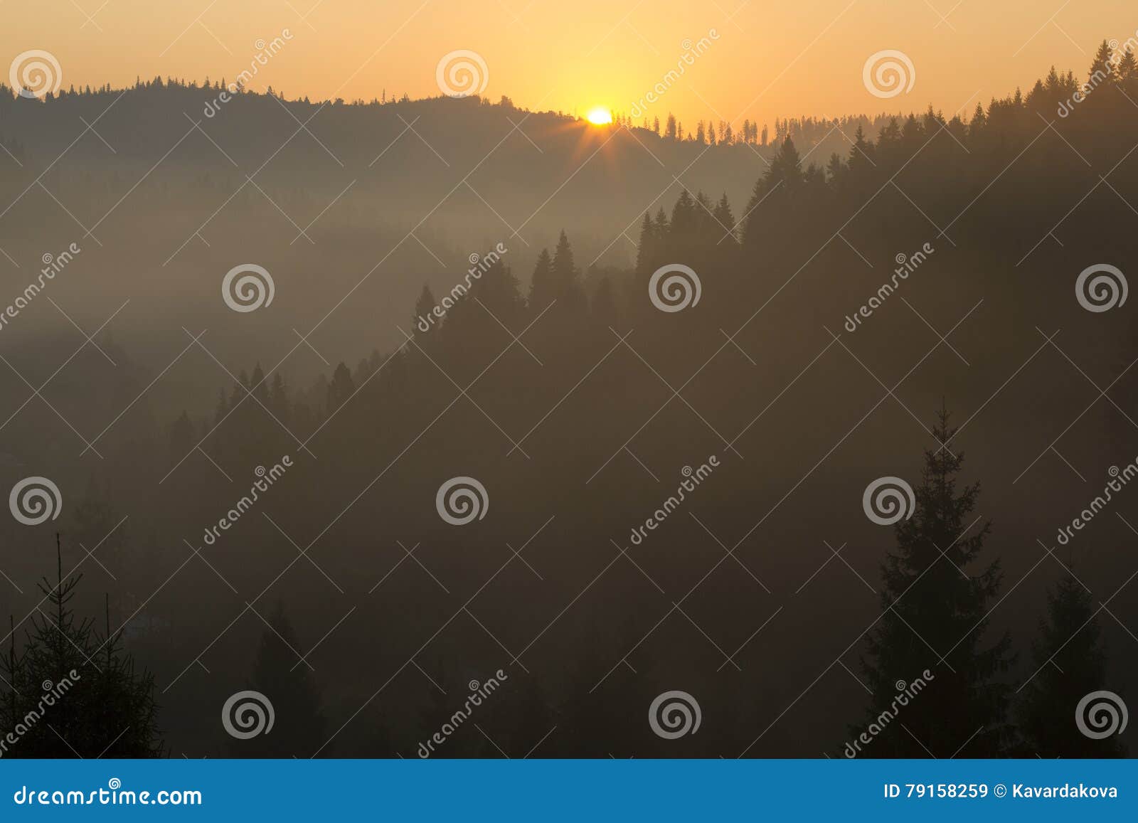 At Morning Dawn Mist Over Forest in Mountains Stock Image - Image of ...