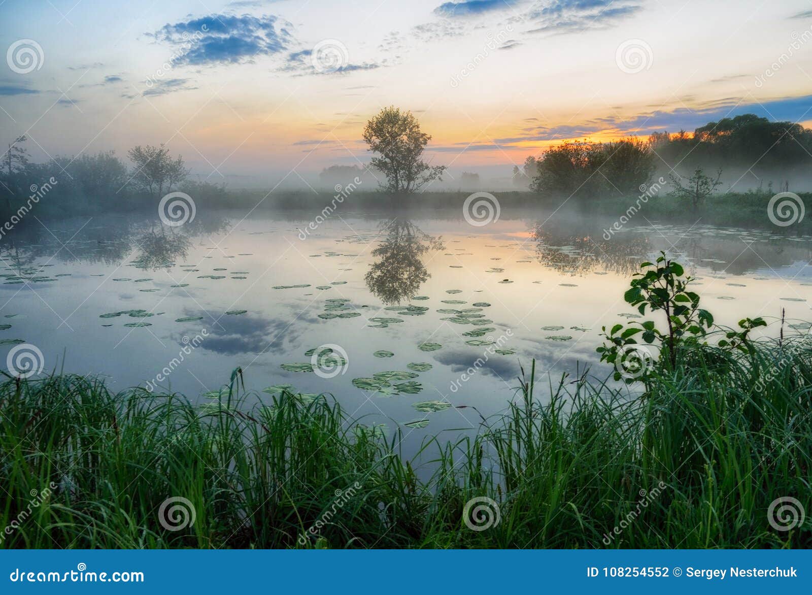 Morning. Dawn Near a Picturesque River Stock Photo - Image of flowers ...