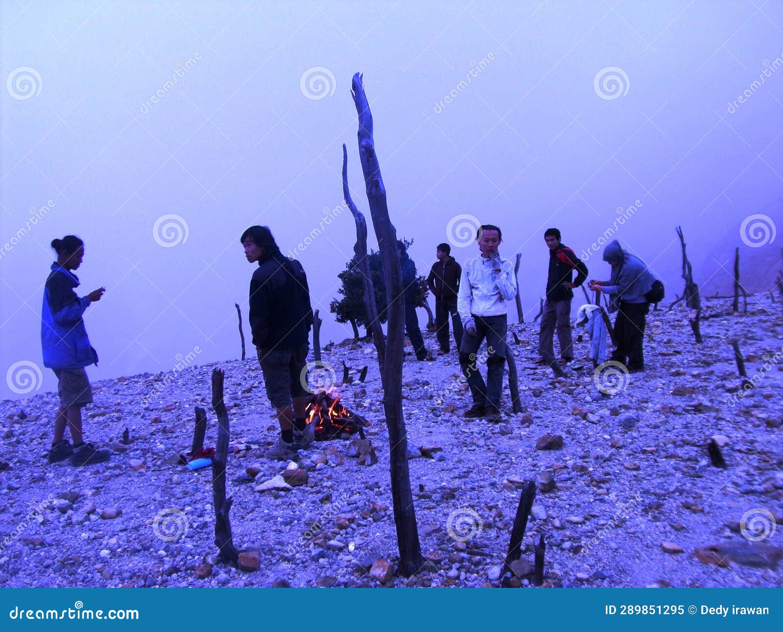 Morning in the Dead Forest of Mount Papandayan , Garut , Indonesia ... Morning in the Dead Forest of Mount Papandayan , Garut , Indonesia ...