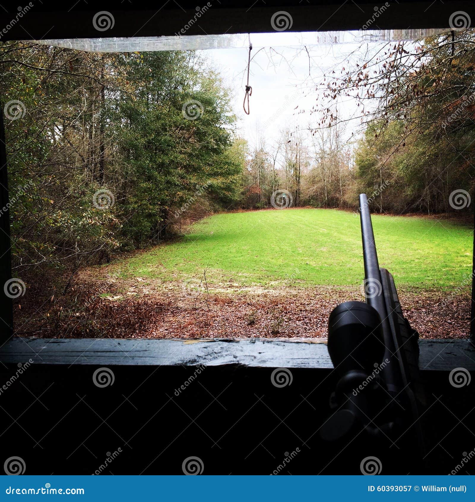 Morning Deer Hunt stock image. Image of field, grass - 60393057