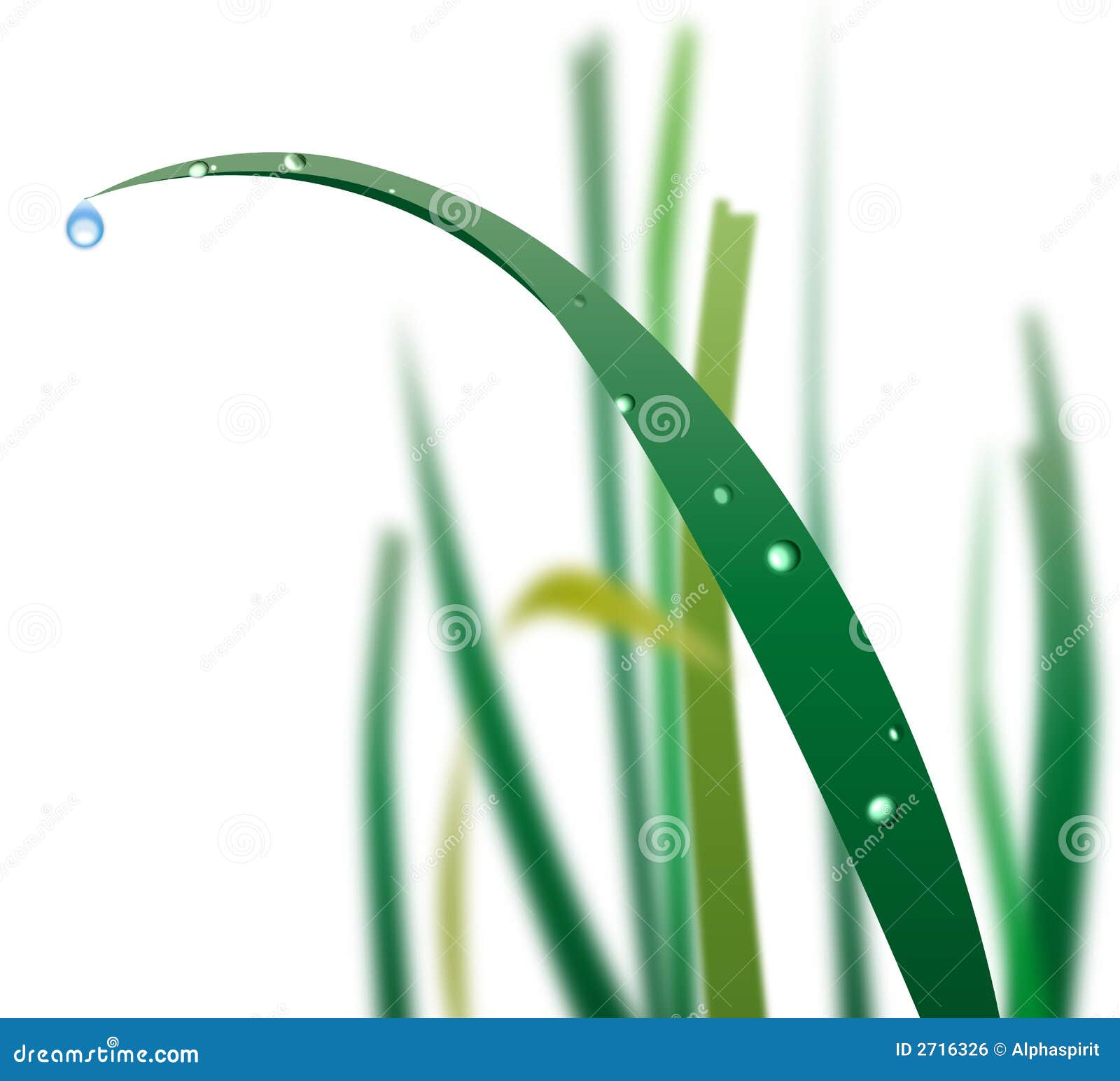 Morning dew stock illustration. Illustration of greens - 2716326