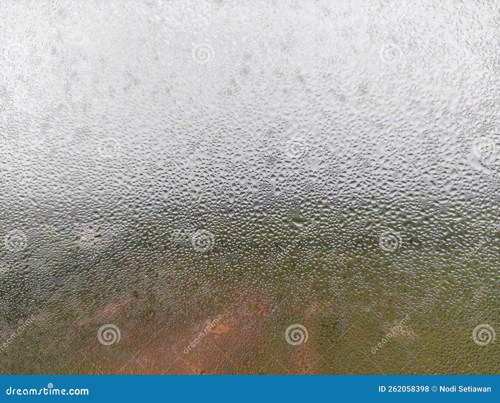 Morning dew in glass stock photo. Image of wild, landscape - 262058398