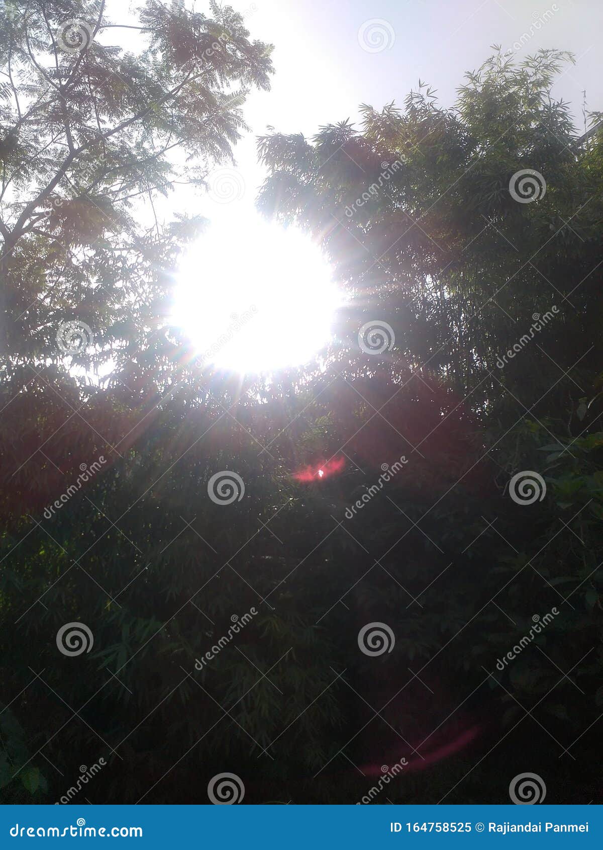 Beautiful Sunshine with the Ray of New Hope Stock Image - Image of hope ...
