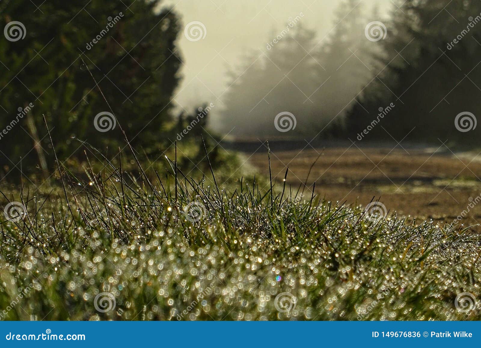 Morning Dew at Sunrise Sunrise Stock Photo - Image of europe ...