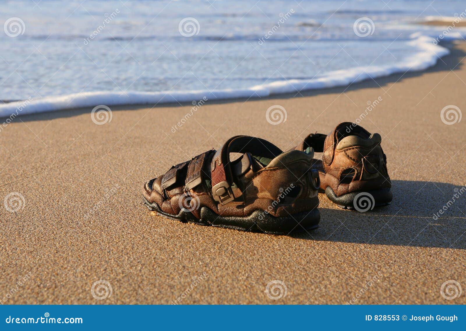 Morning Dip stock image. Image of sandals, shoes, swim - 828553
