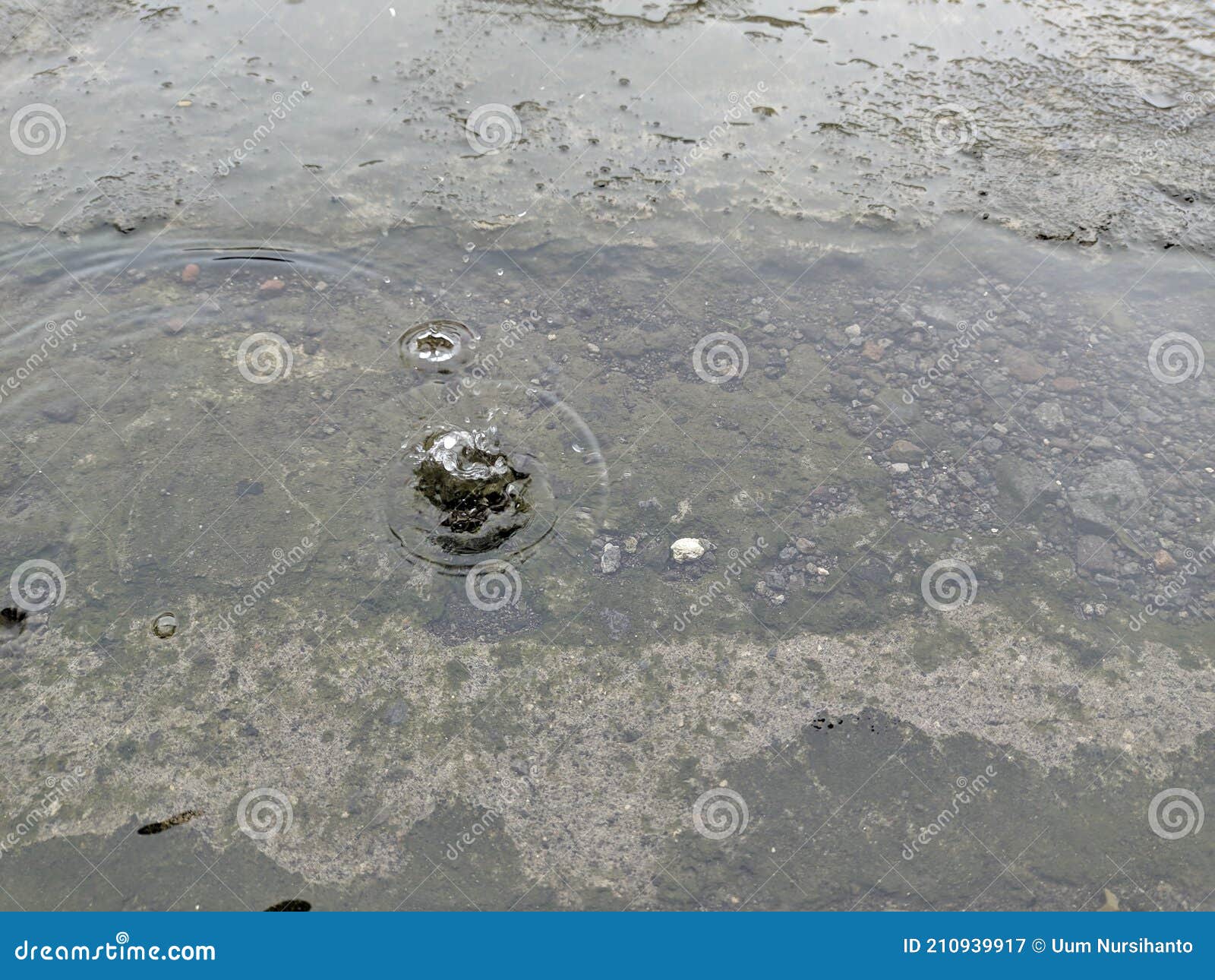 Morning Drizzle on the Lawn Stock Image - Image of stone, drizzle ...