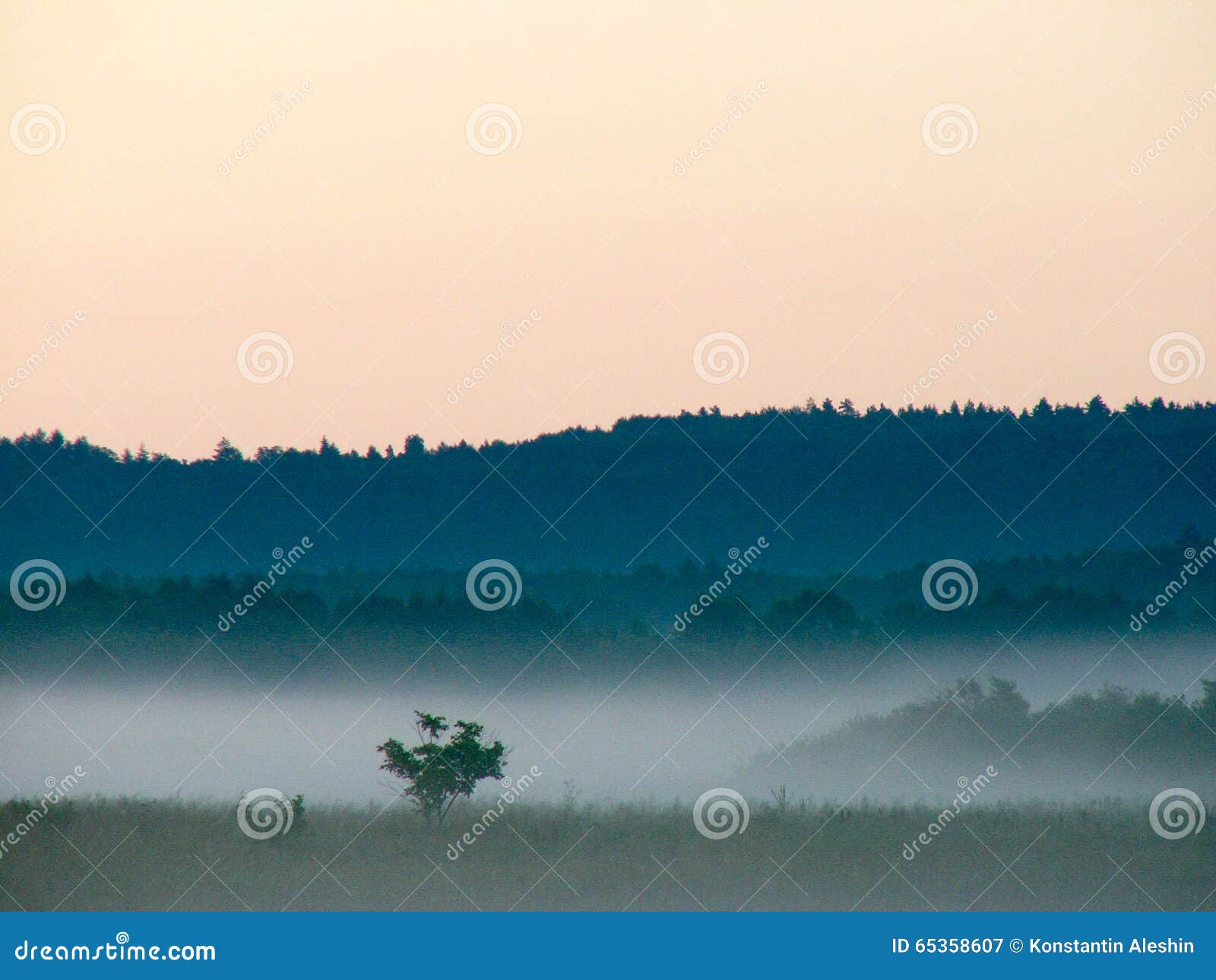Morning stock image. Image of russia, field, sunrise - 65358607