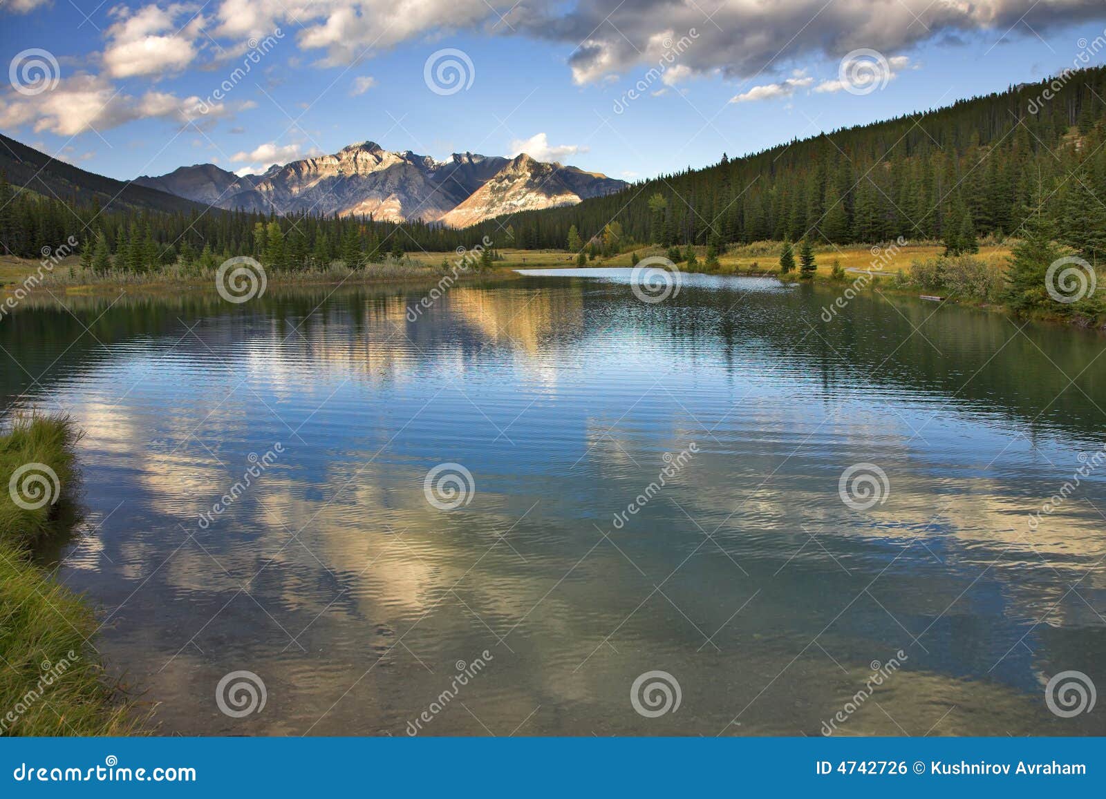 Morning easy breeze. stock photo. Image of horizon, relaxation - 4742726