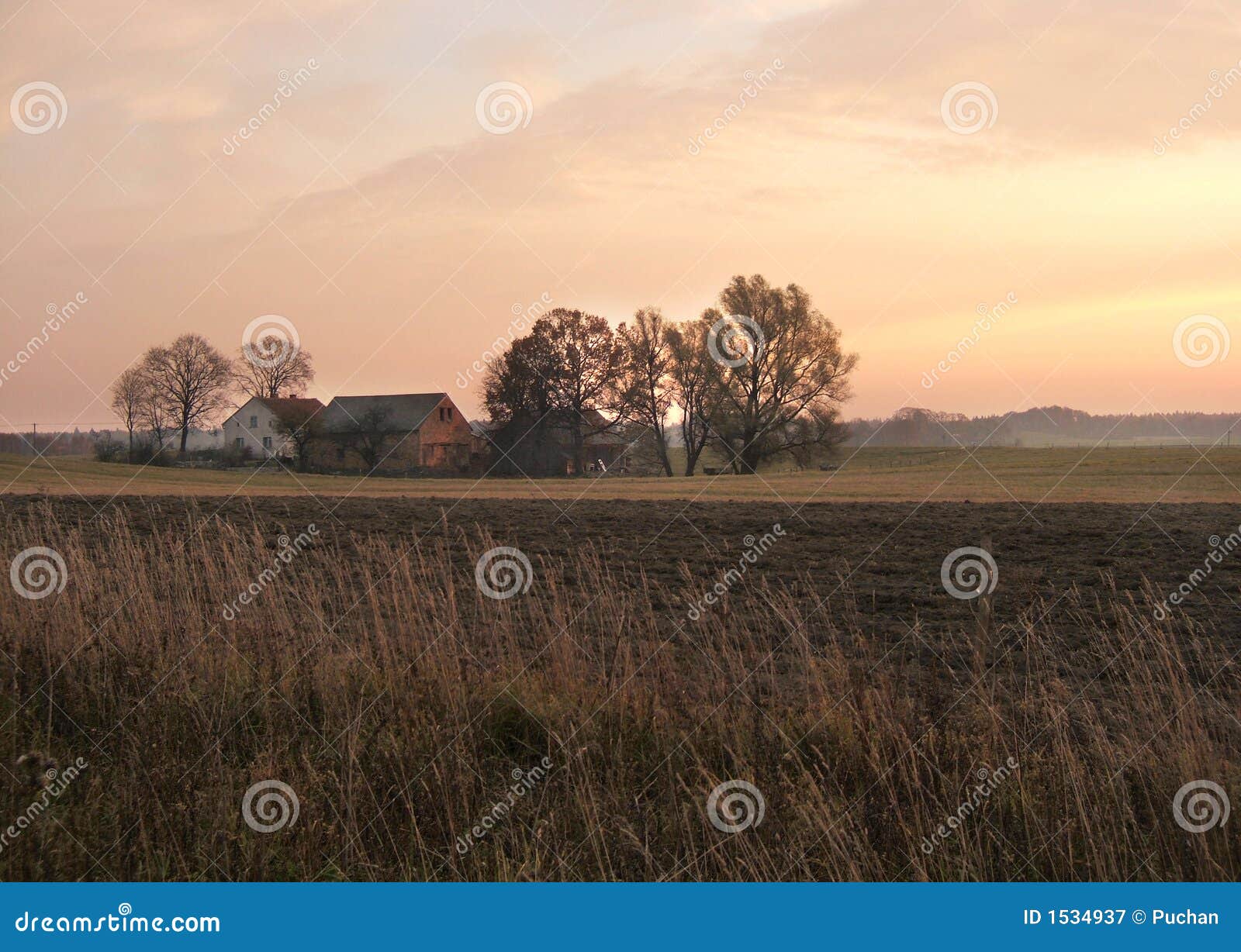 Morning farm stock image. Image of farm, earth, morning - 1534937